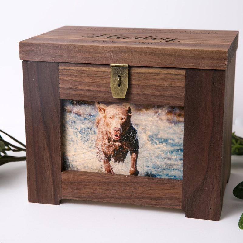 Dog Hair Quote - Etsy