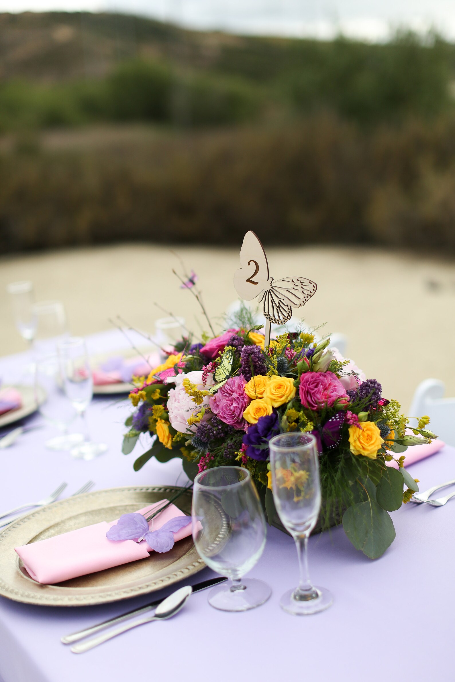 Butterfly Table Numbers Set of 10 Engraved Wood Laser Cut Out - Etsy