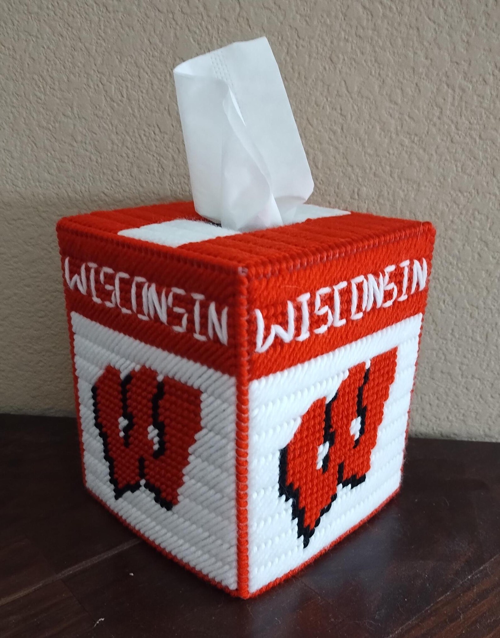 Custom University College Sports Team Mascot Logo Handmade Plastic ...