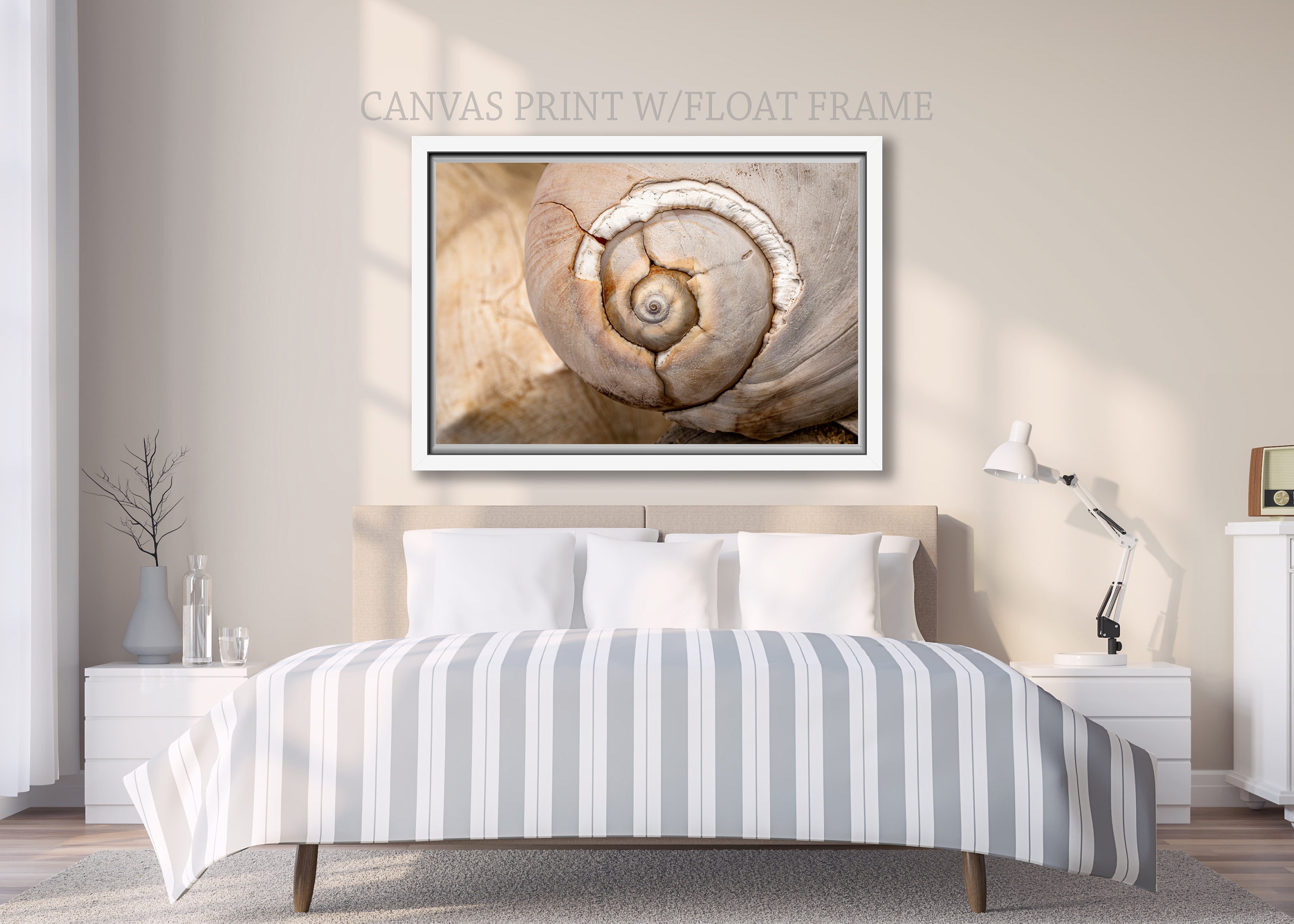 Nantucket Sea Shells Nantucket Island Fine Art Print Canvas - Etsy