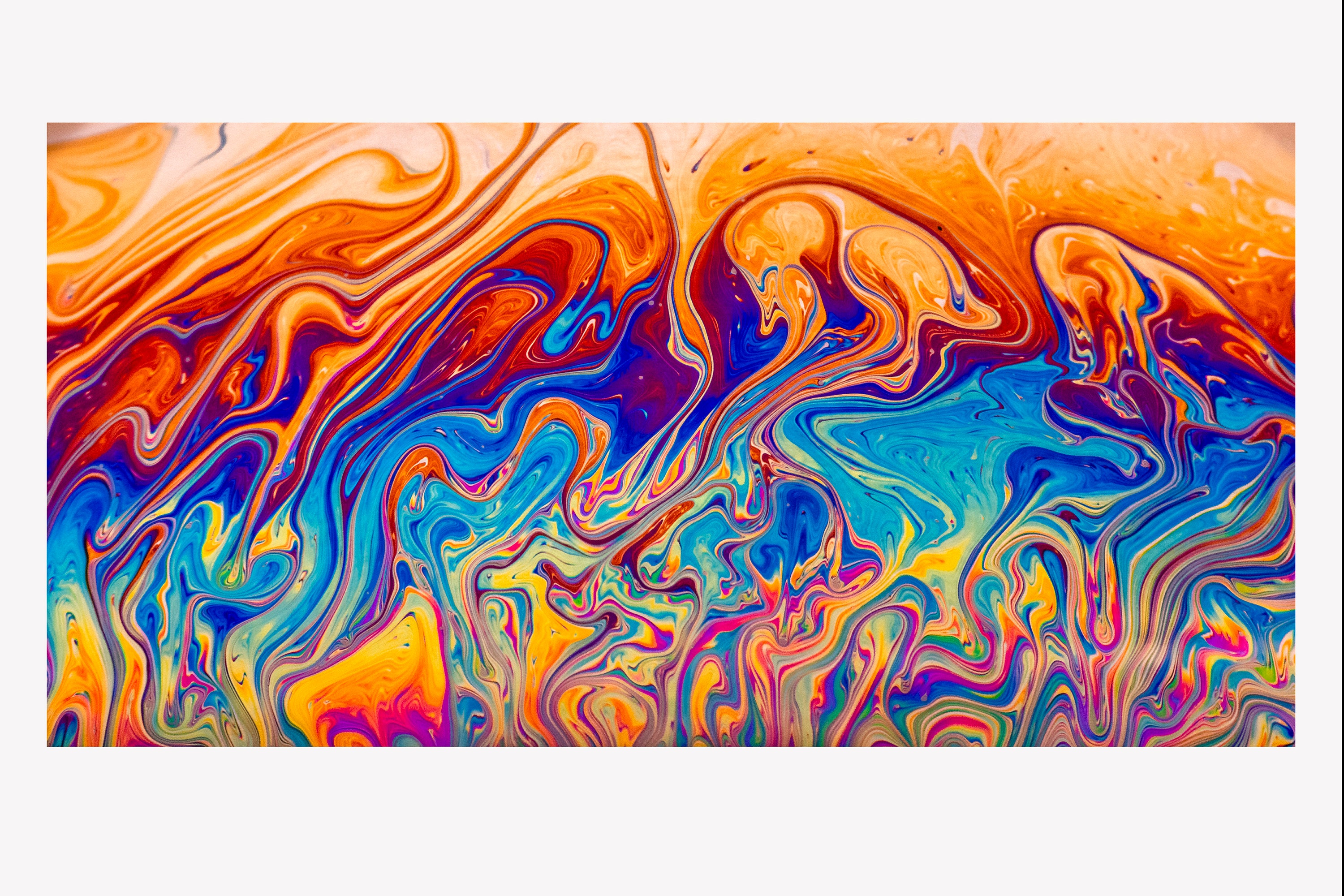 Limited Edition creatures Abstract Fine Art Print on Metal or Fine Art ...