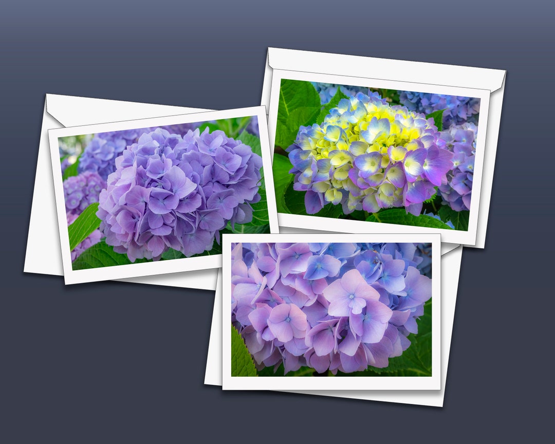 Hydrangeas - Note Cards With Envelopes - Etsy