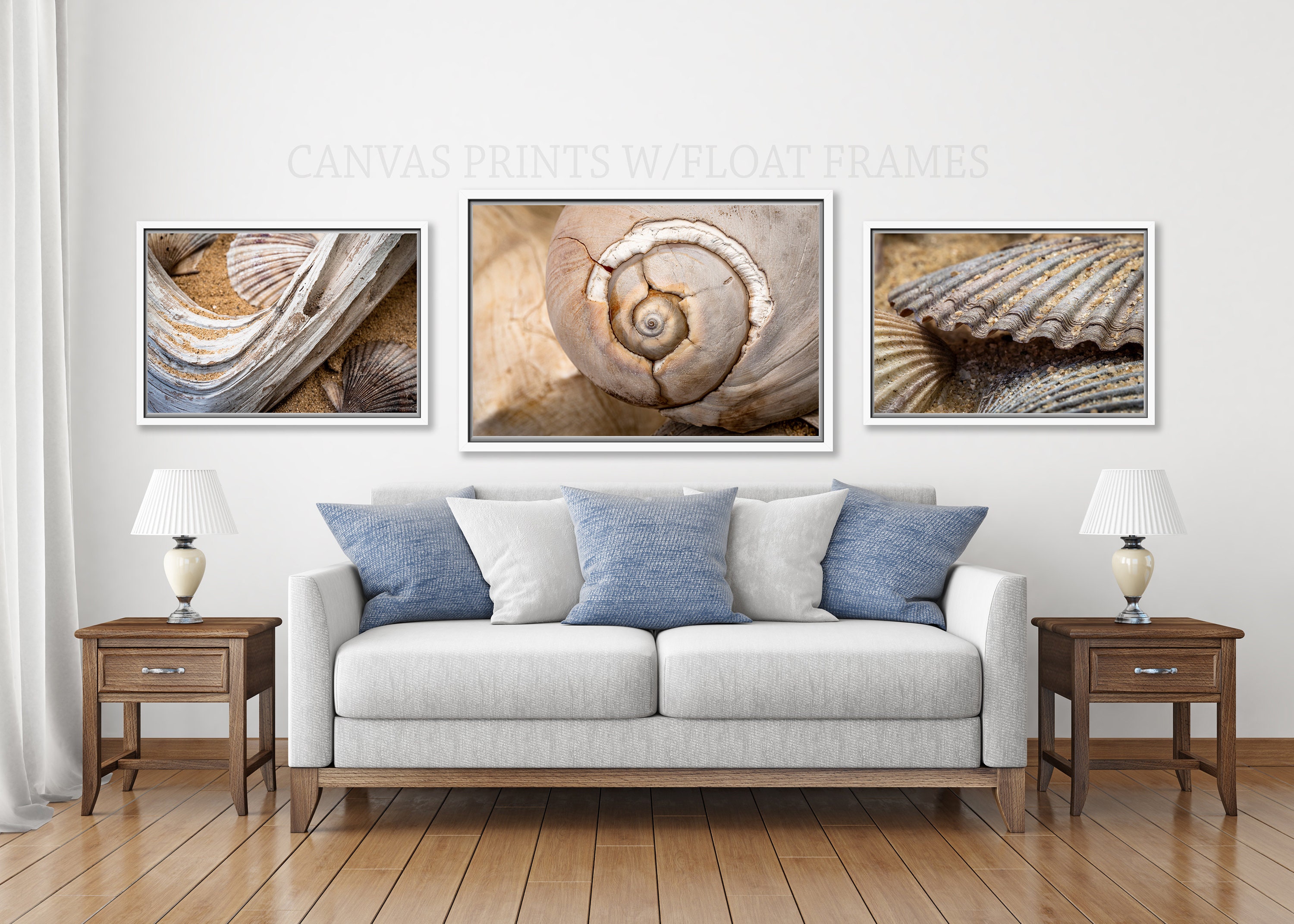 Nantucket Sea Shells Nantucket Island Fine Art Print Canvas - Etsy