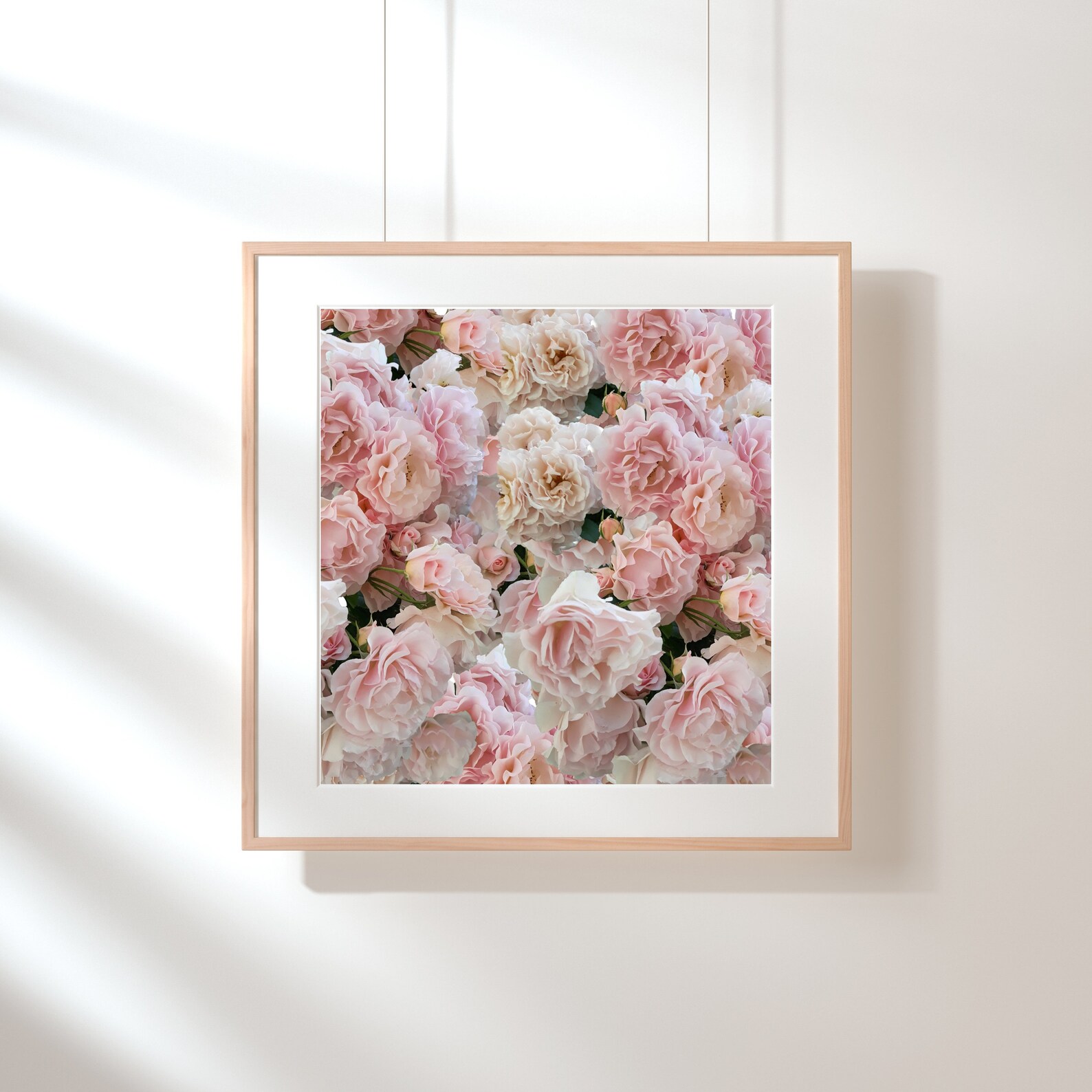 Pink Roses Overlay I Photography Collage I Nature I Botanic - Etsy