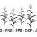Corn Svg, Maize Svg,corn Field Svg,silhouette,instant Download,svg, PNG ...