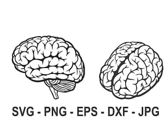 Brain Svg Human Brain Svg Cut File Human Clipart Svg Cut - Etsy