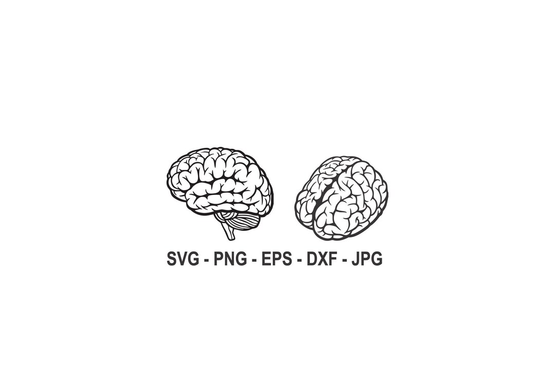 Human Brain Svg,brain Svg,cut File Cricut,silhouette Cameo,instant ...