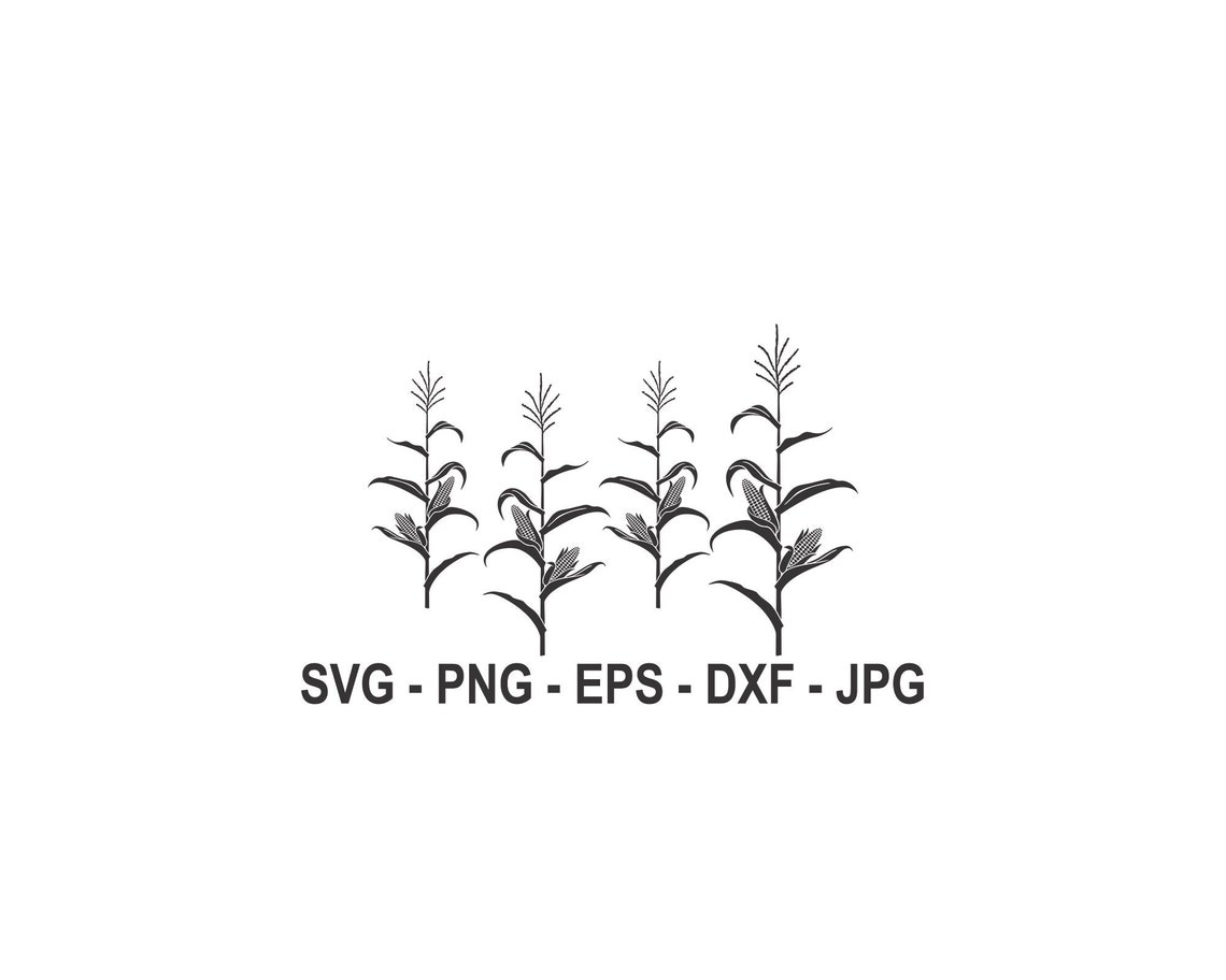 Corn Svg, Maize Svg,corn Field Svg,silhouette,instant Download,svg, PNG ...
