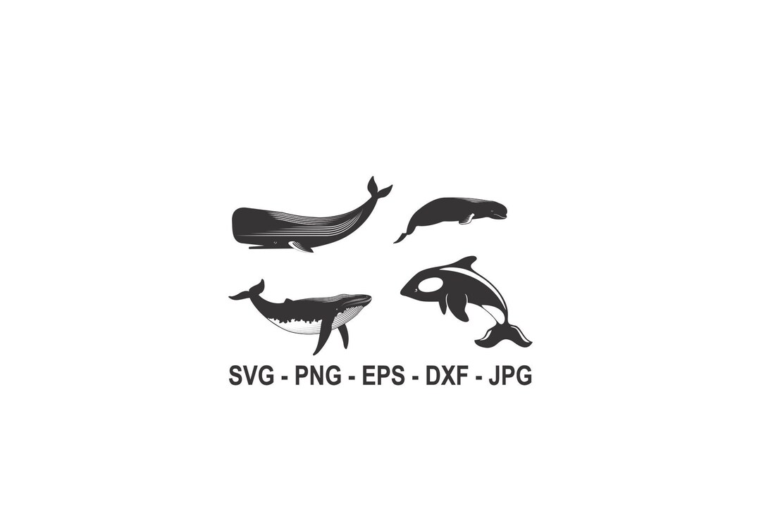 Whale Svg,orca Whale Svg,whales Bundle Svg,instant Download,svg, PNG ...