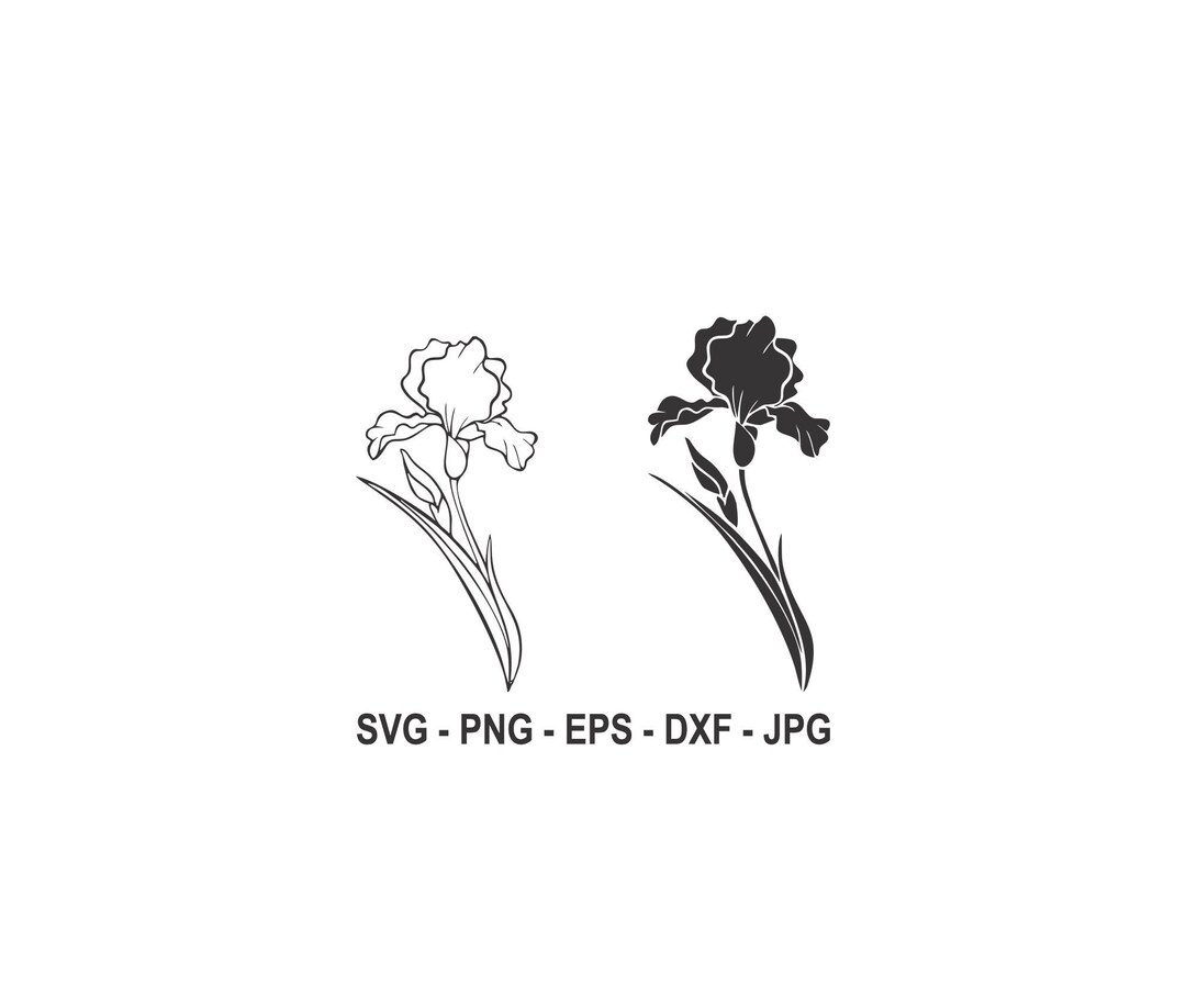 Iris Flower Svg,iris Silhouette,instant Download,svg, PNG, EPS, Dxf ...