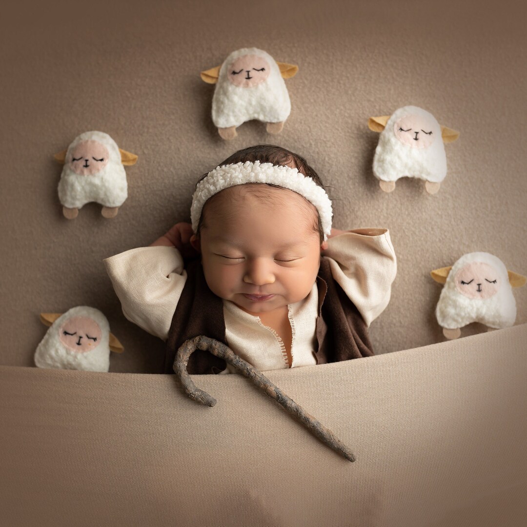 Toy Lamb for Newborn Photo Shoot, Mini Sleeping Sheeps Toys for Newborn ...