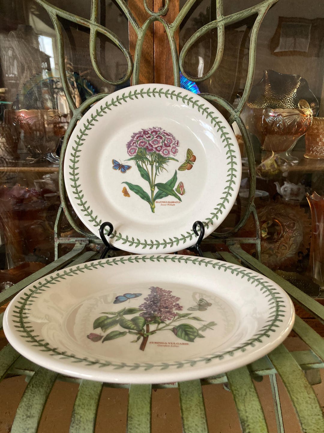 Portmeirion Botanic Garden Dinner Plates, Set of 2. Sweet William ...