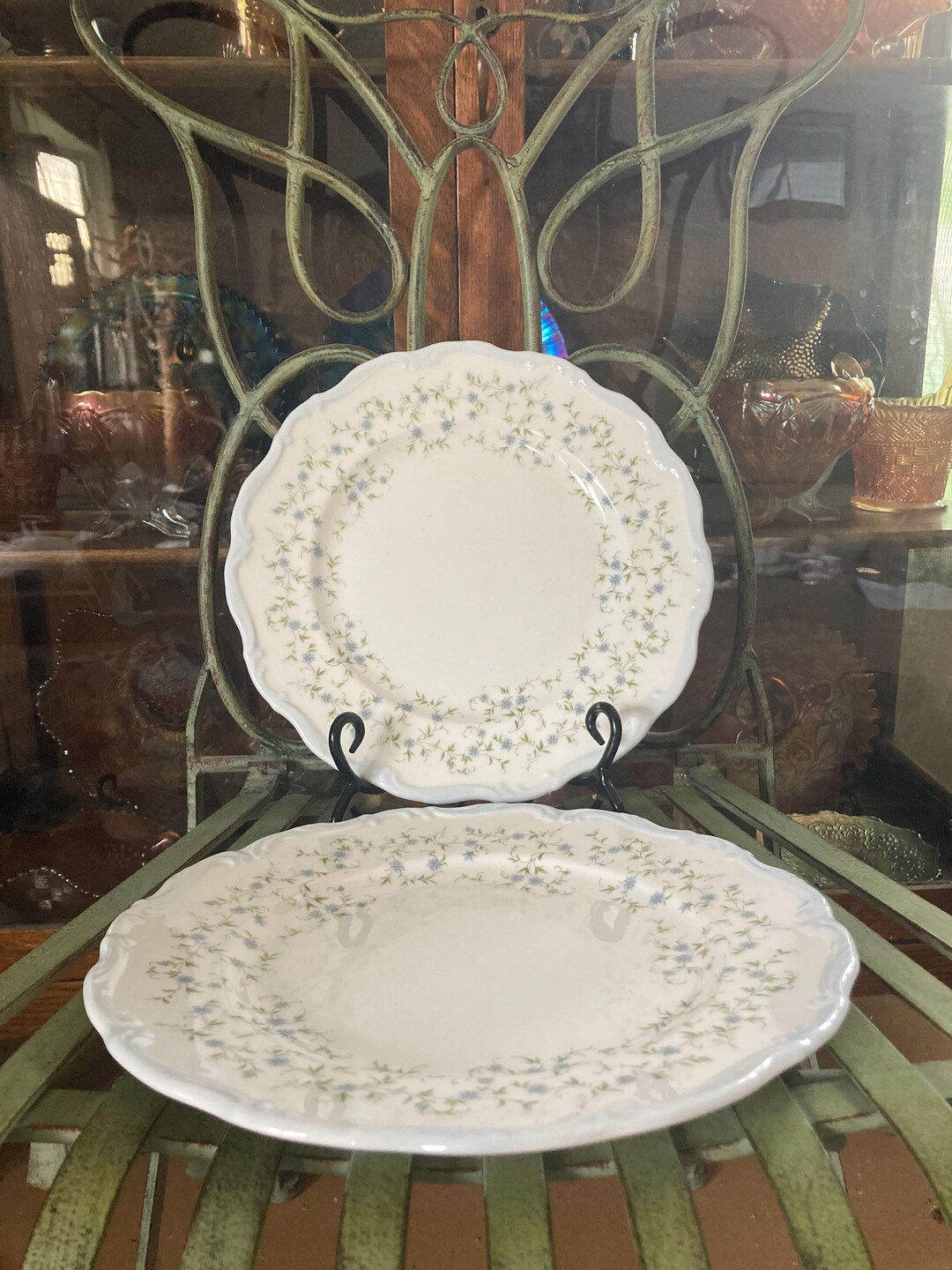 Royal Albert Caroline Dinner Plates. Set of 2. 10.5 Inches Diameter ...