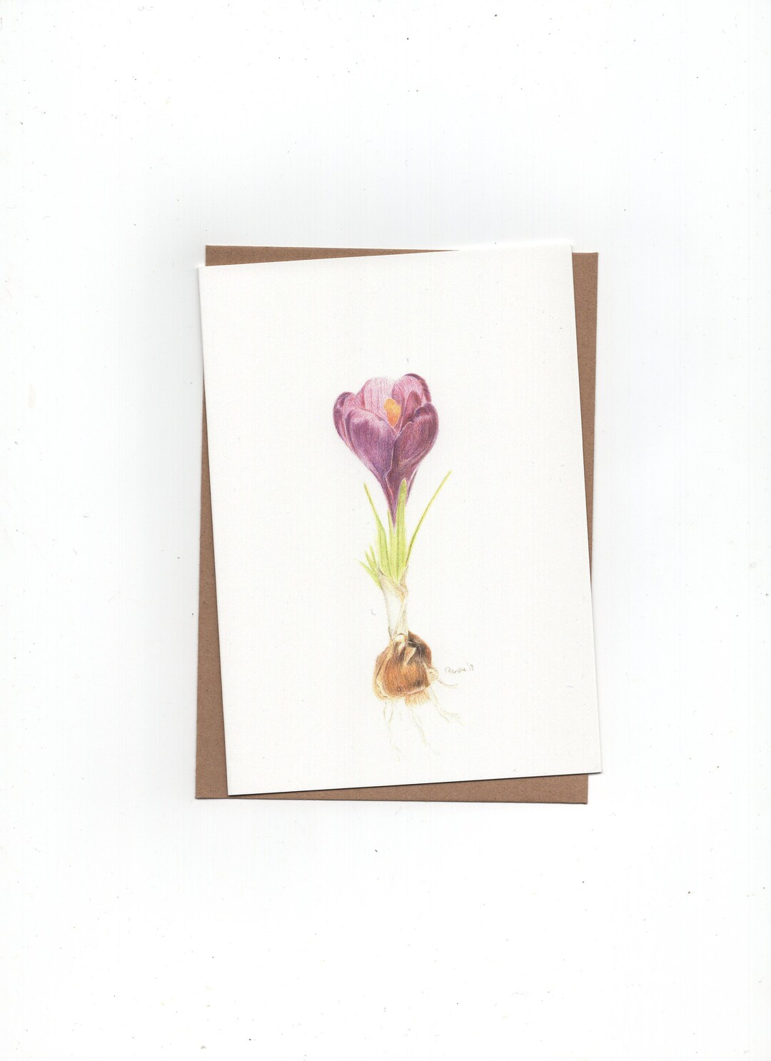 Crocus Double Card With Envelope Print of - Etsy