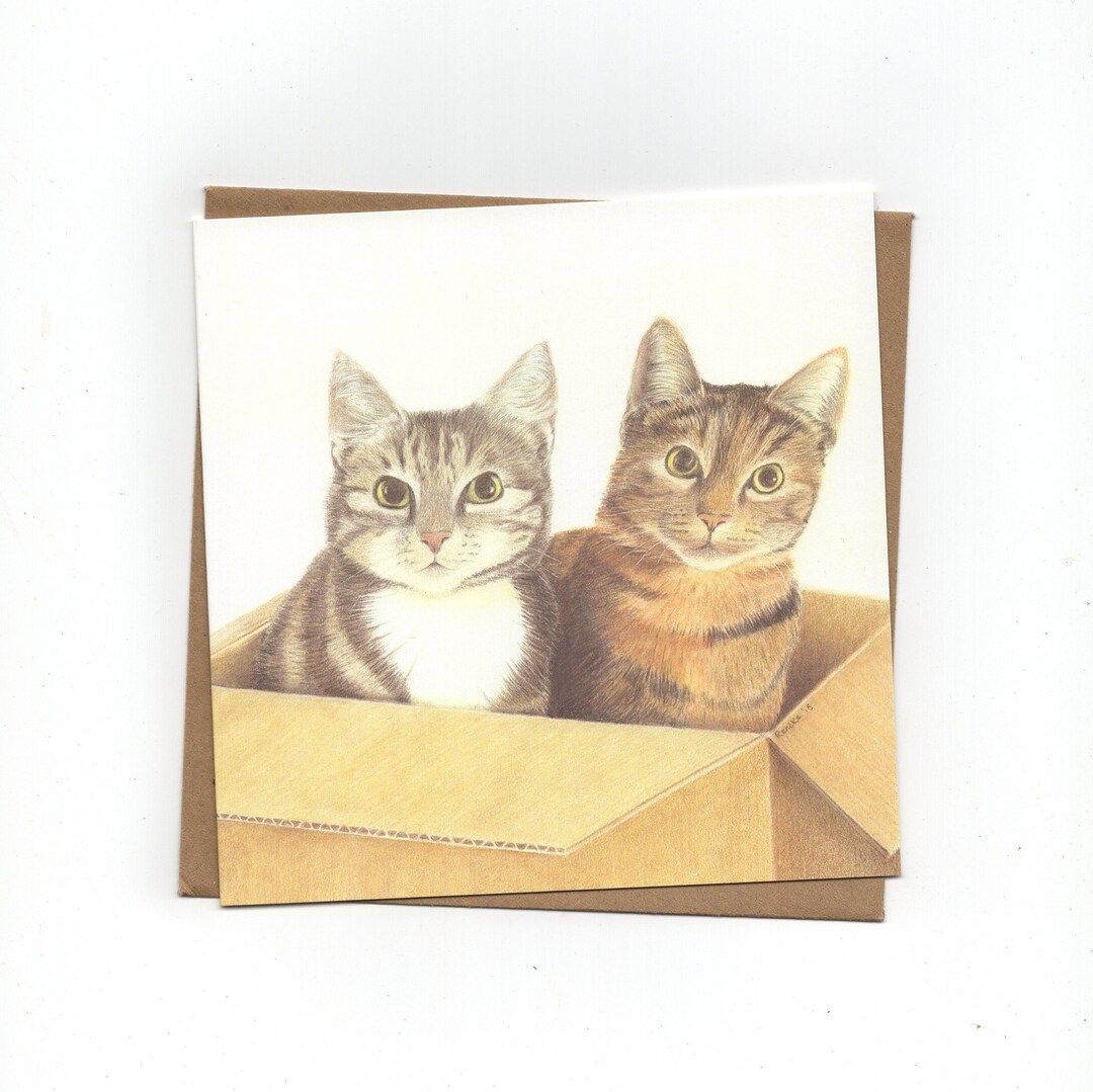 Two Cats in a Box, Print of a Coloured Pencil Drawing, Double Card With ...