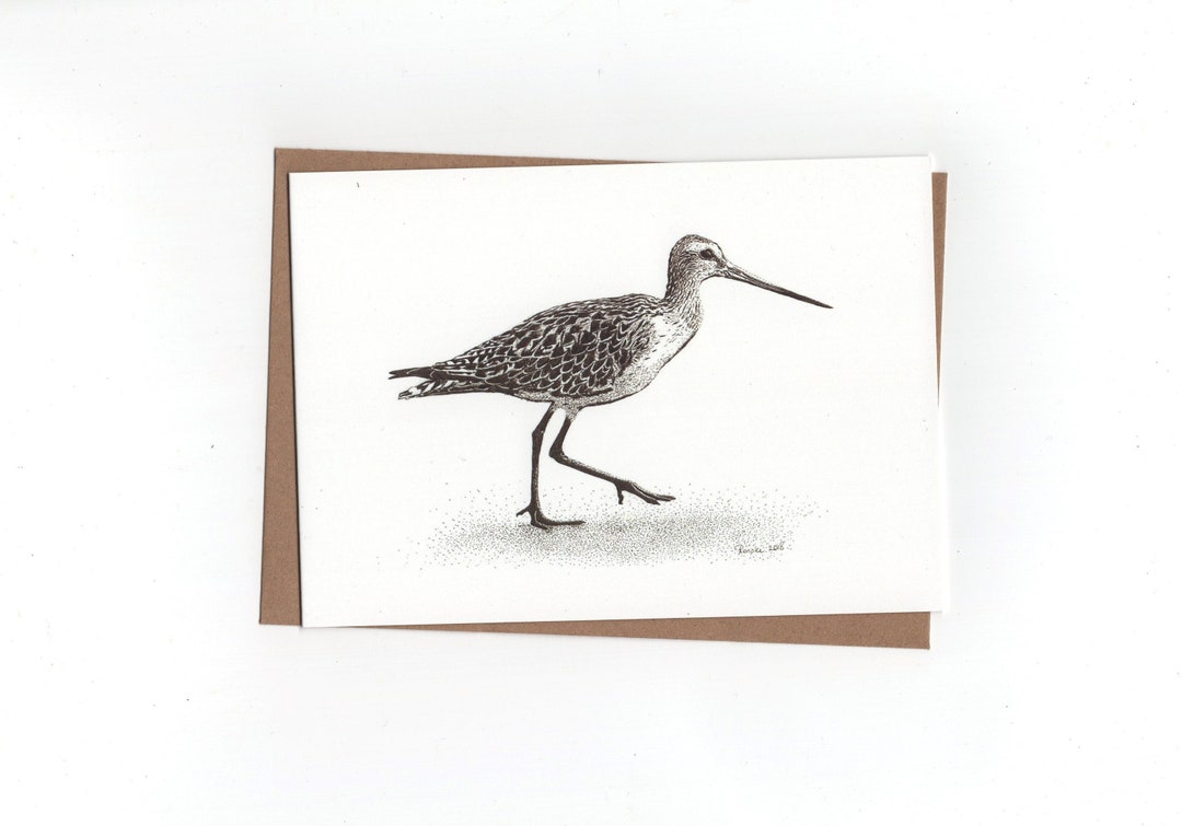Godwit Print of Inkdrawing Double Card With Envelope - Etsy
