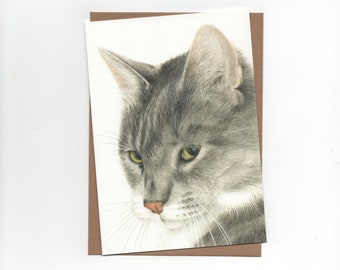 Toothless Cat Postcard - Etsy