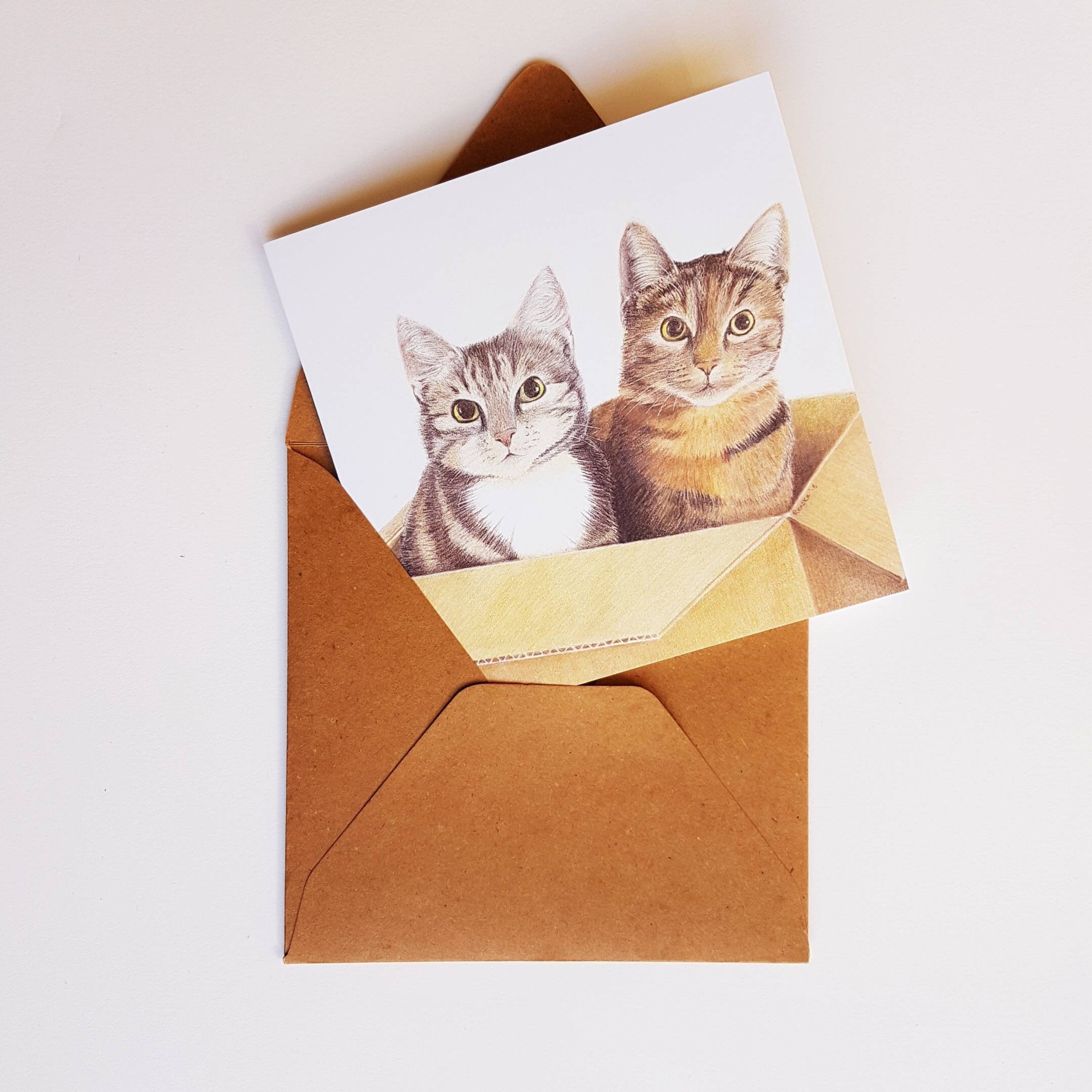 Two cats in a box print of a coloured pencil drawing double | Etsy