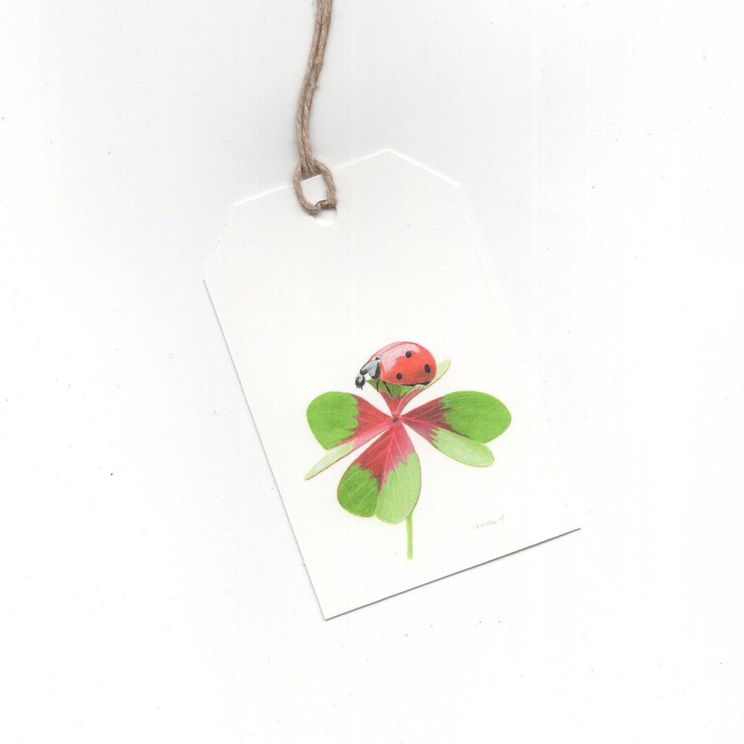 Ladybug on Clover 4, Set of 6 Gift Tags, Print of Colouredpencildrawing ...