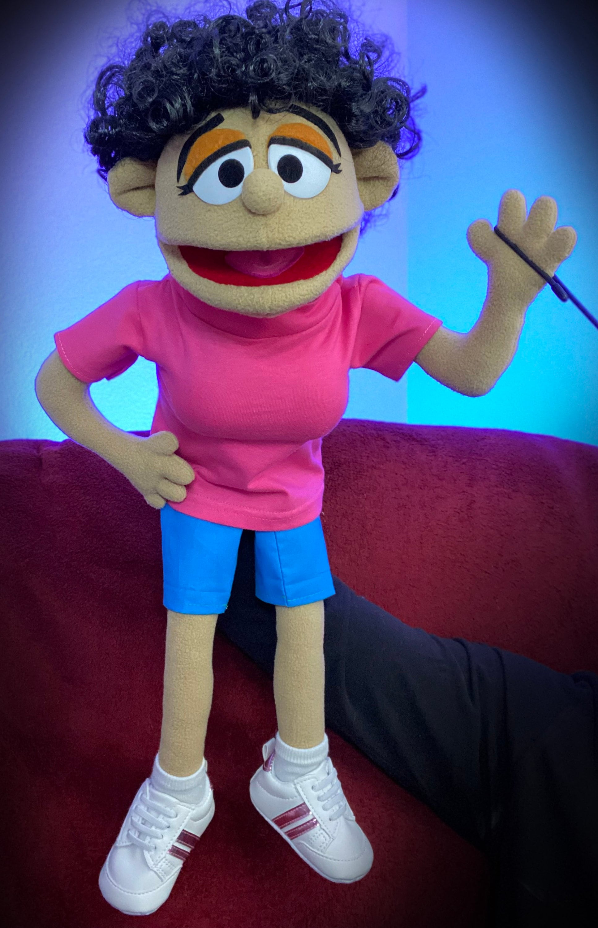 Muppet Style Professional Puppet - Full Body - Removable Legs - Custom ...