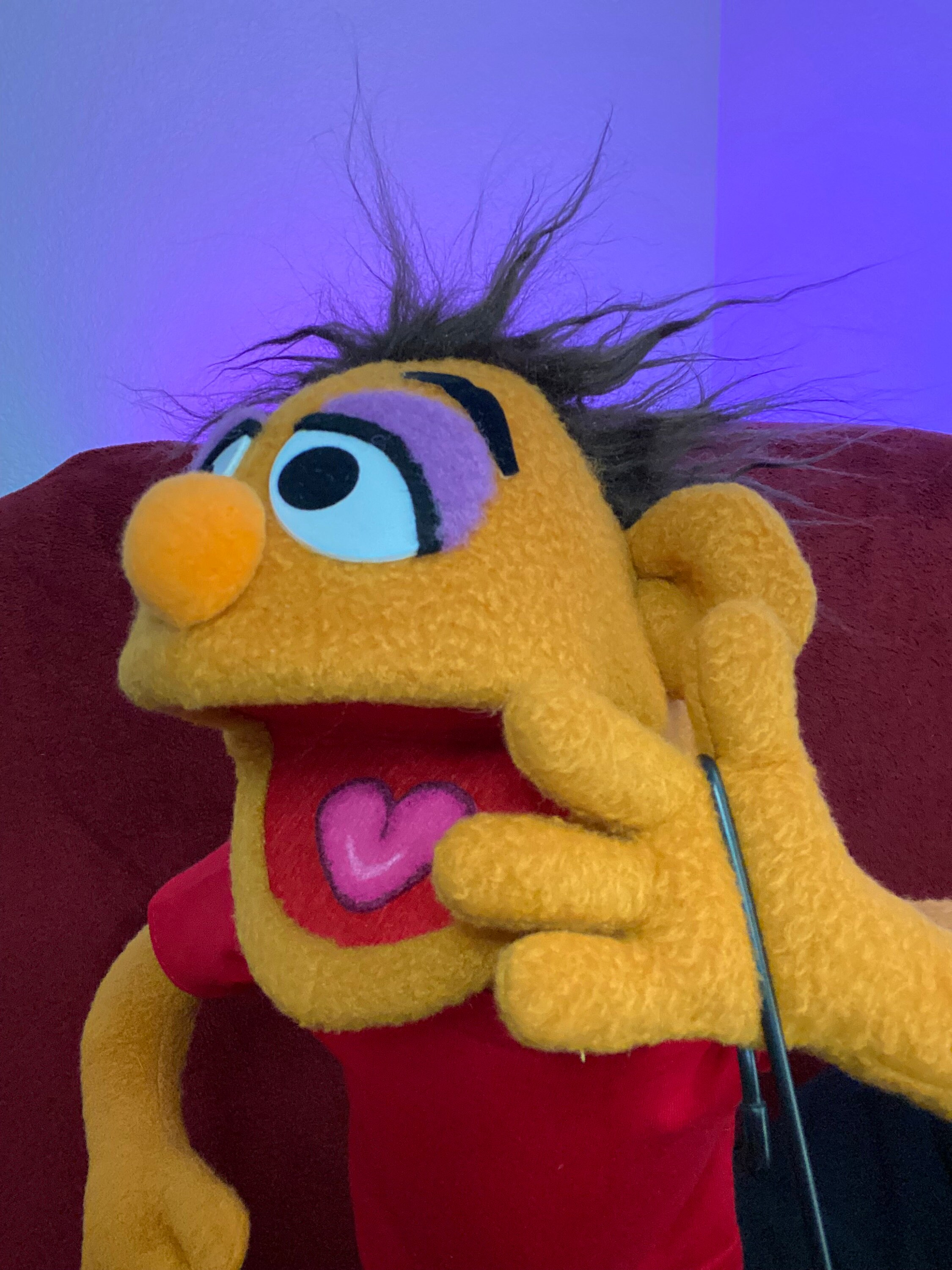 Muppet Style Professional Puppet - Half Body - Loveable Personality ...
