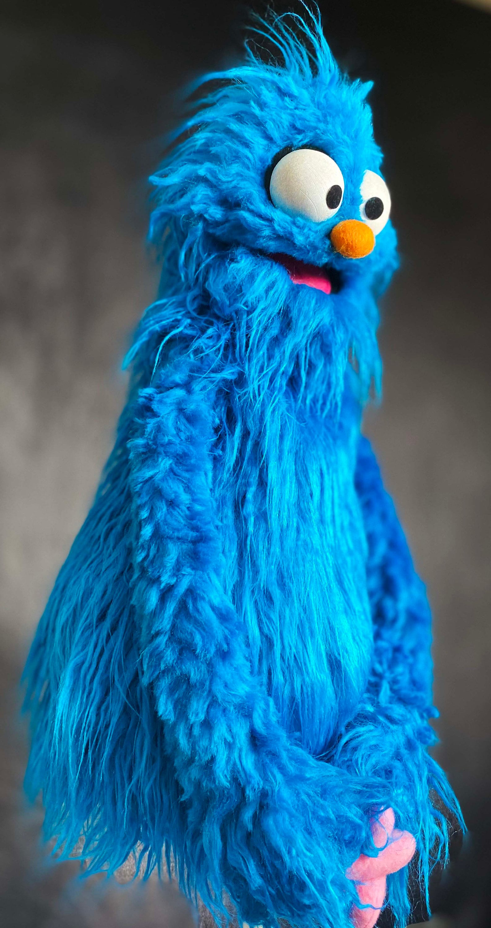 Professional Muppet Style Monster Puppet Adorable Personality Custom ...