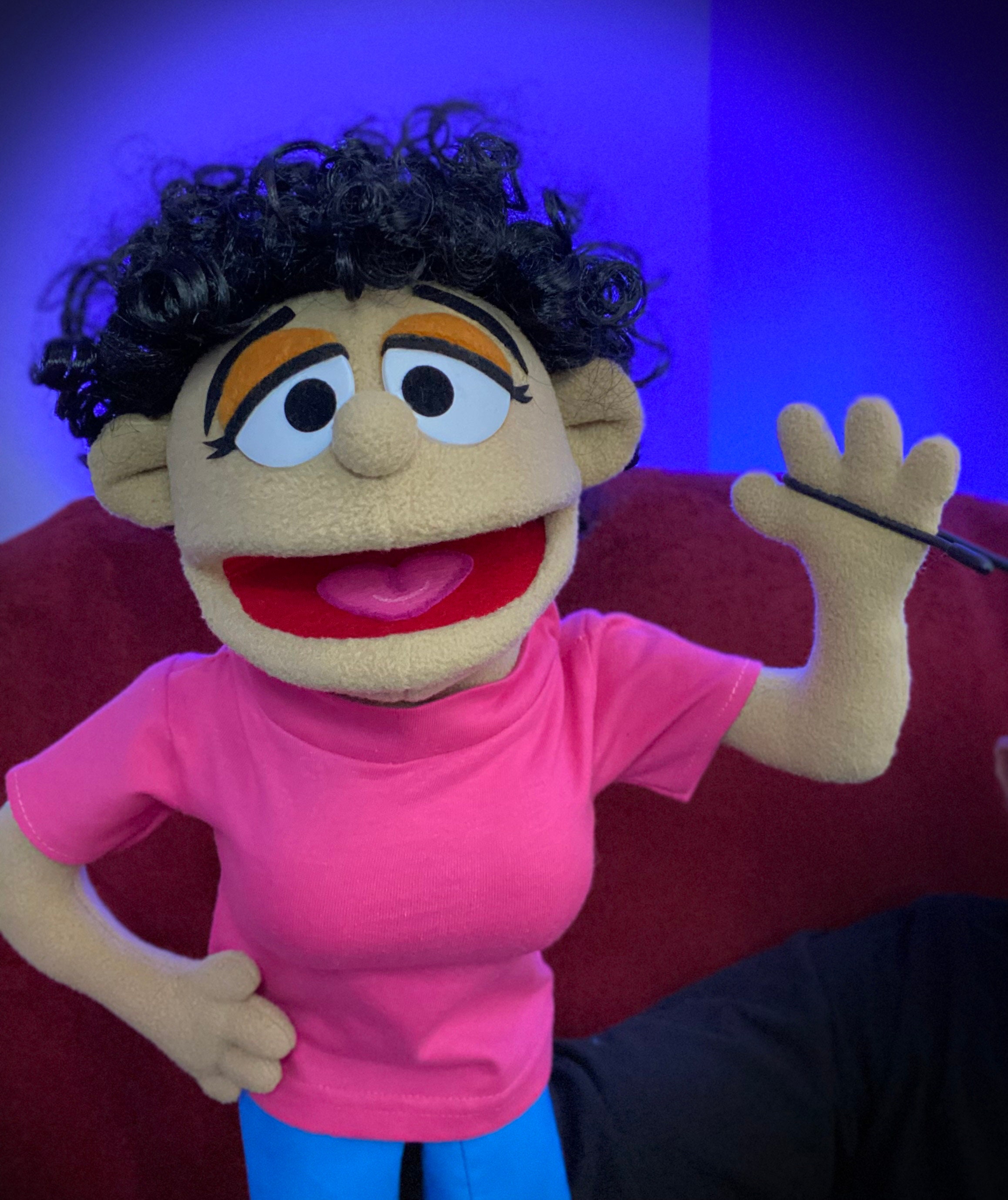 Muppet Style Professional Puppet - Full Body - Removable Legs - Custom ...