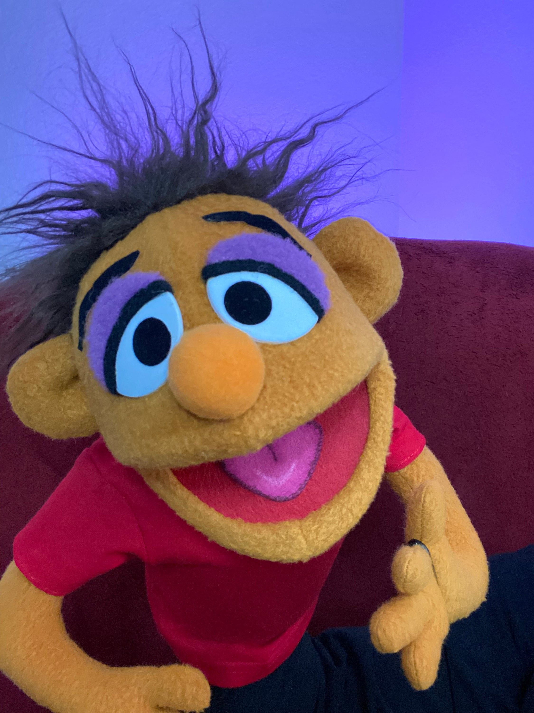 Muppet Style Professional Puppet - Half Body - Loveable Personality ...
