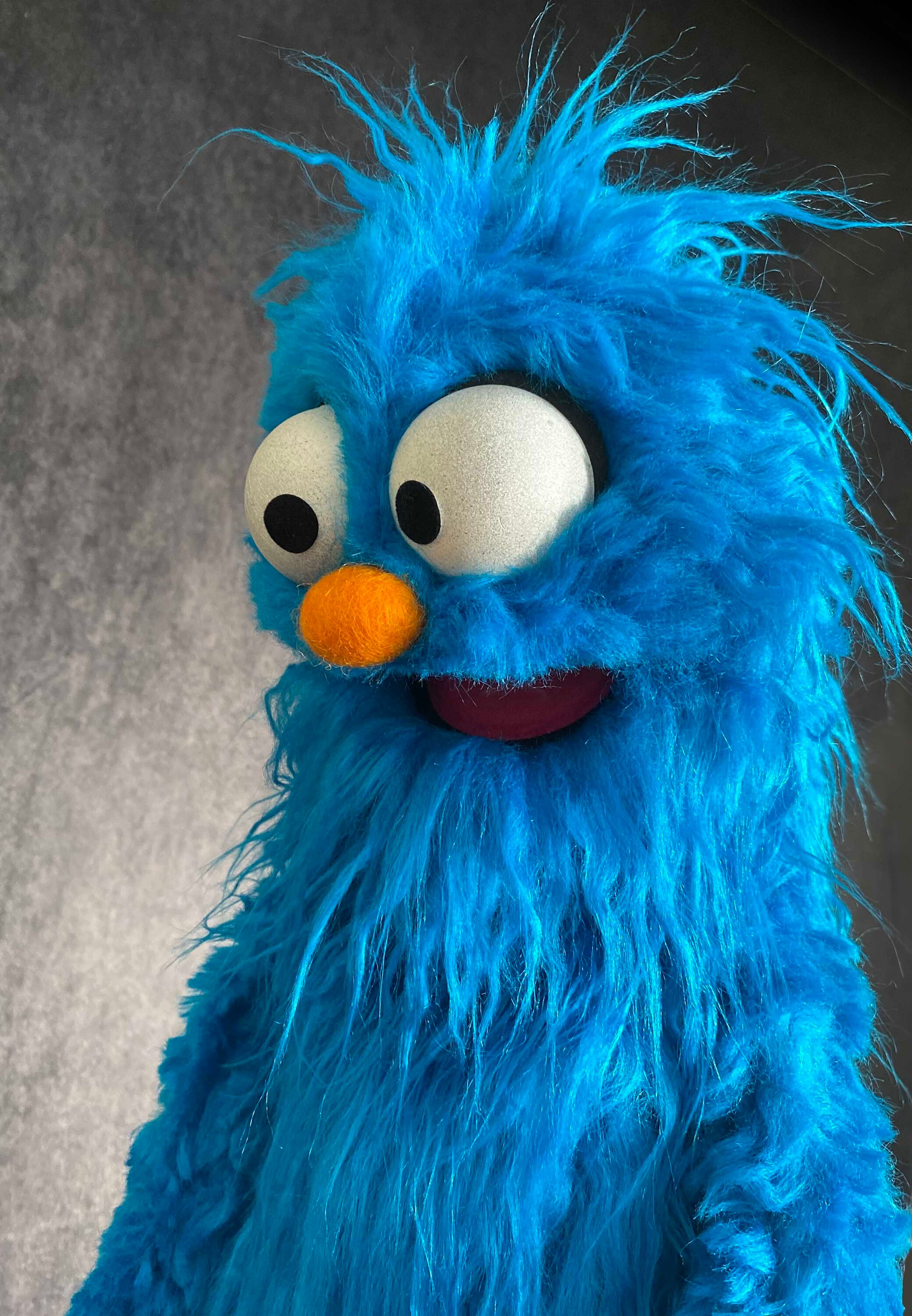 Professional Muppet Style Monster Puppet Adorable Personality Custom ...