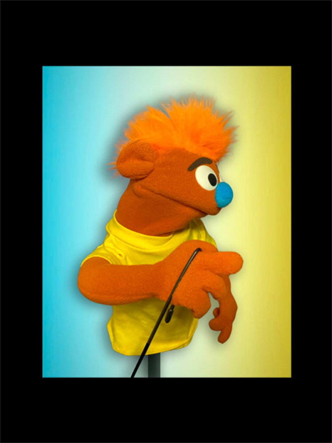Muppet Style Professional Puppet - Half Body - Custom Made by Maker ...