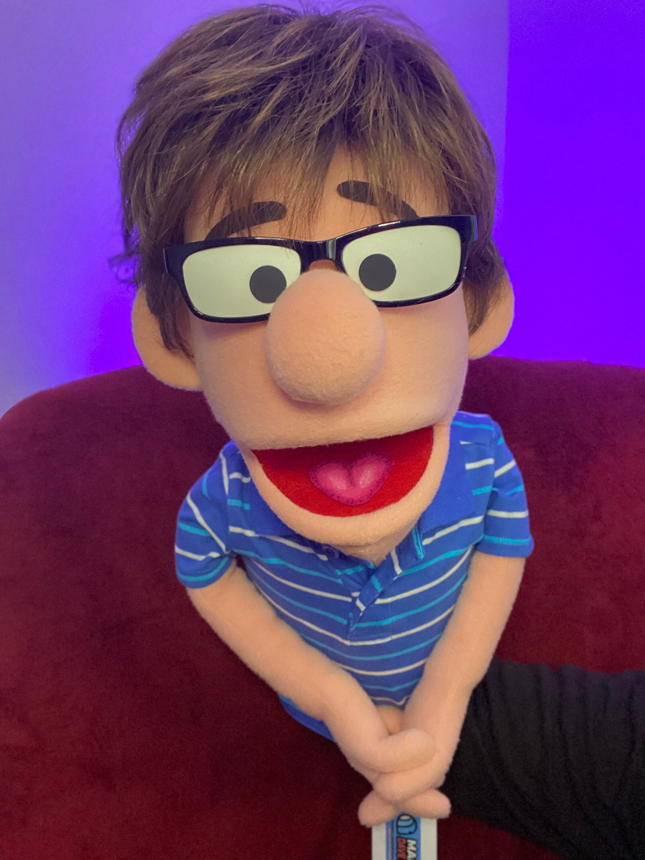 Unique Muppet Style Professional Puppet quirky, Sarcastic Personality ...