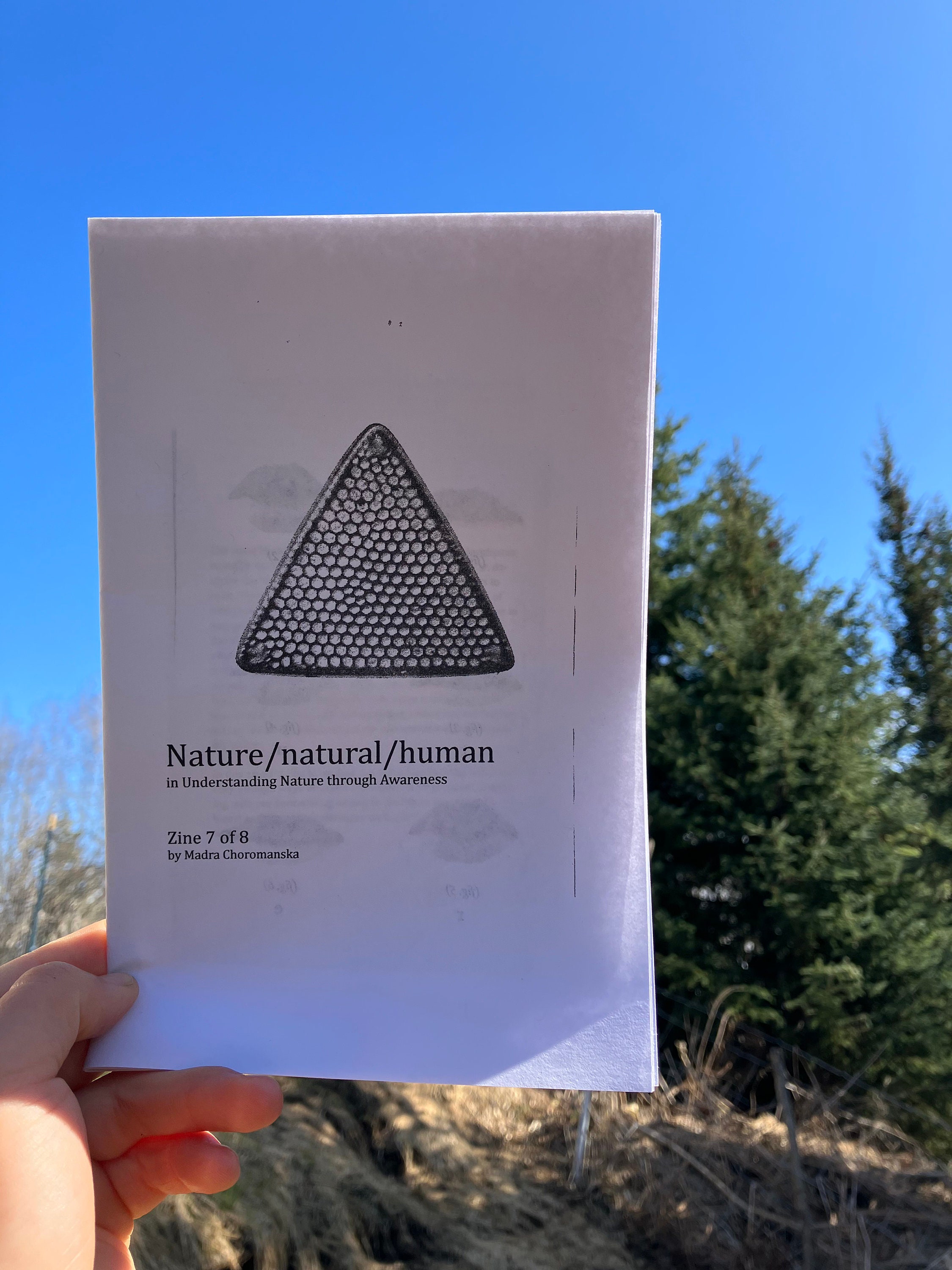 Nature Zine Set - 5 Thru 8 - Digital Download - Etsy