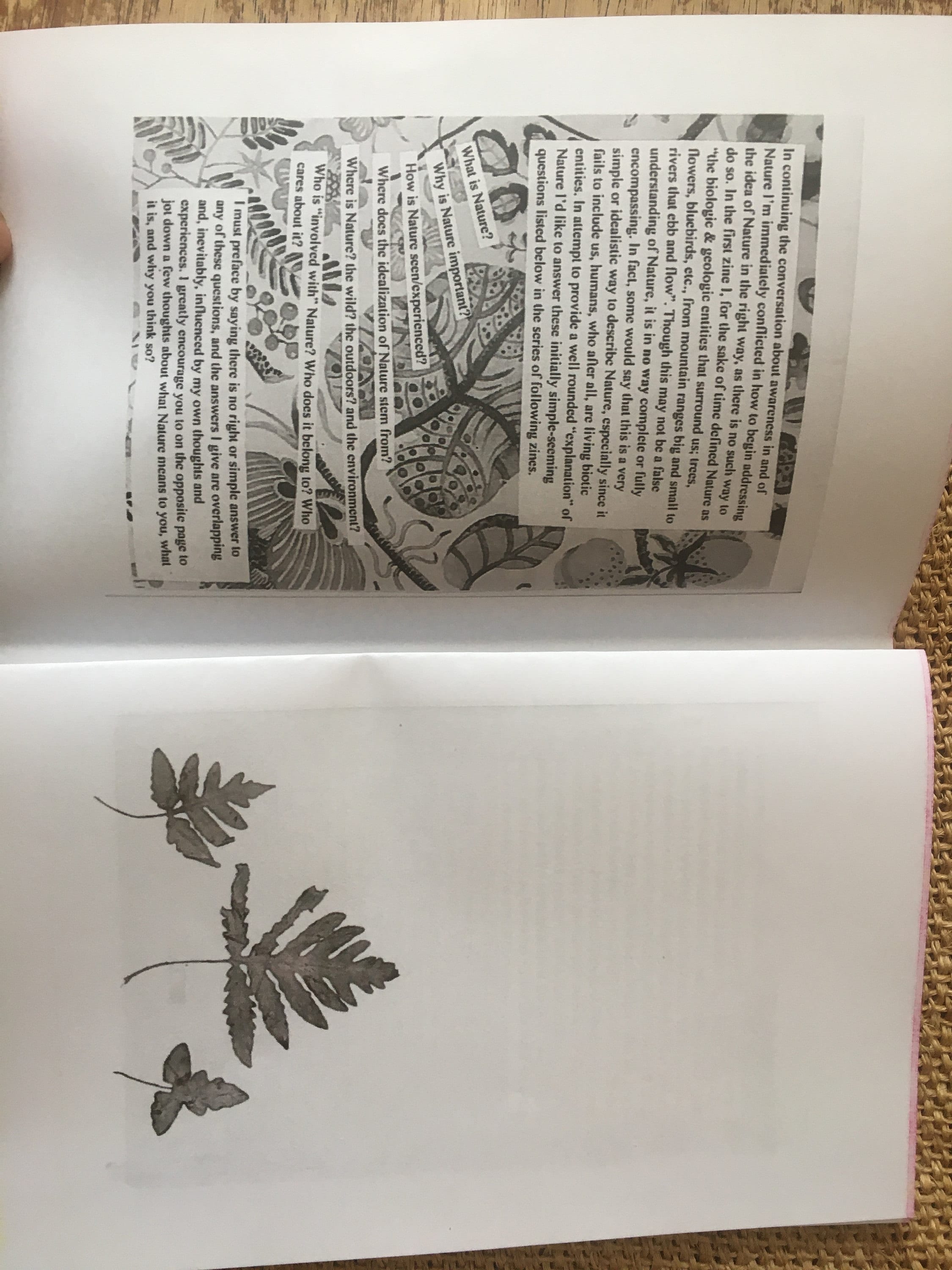 What is Nature? - Zine 2 of 8 - Digital Download (nature Zine, Plant ...