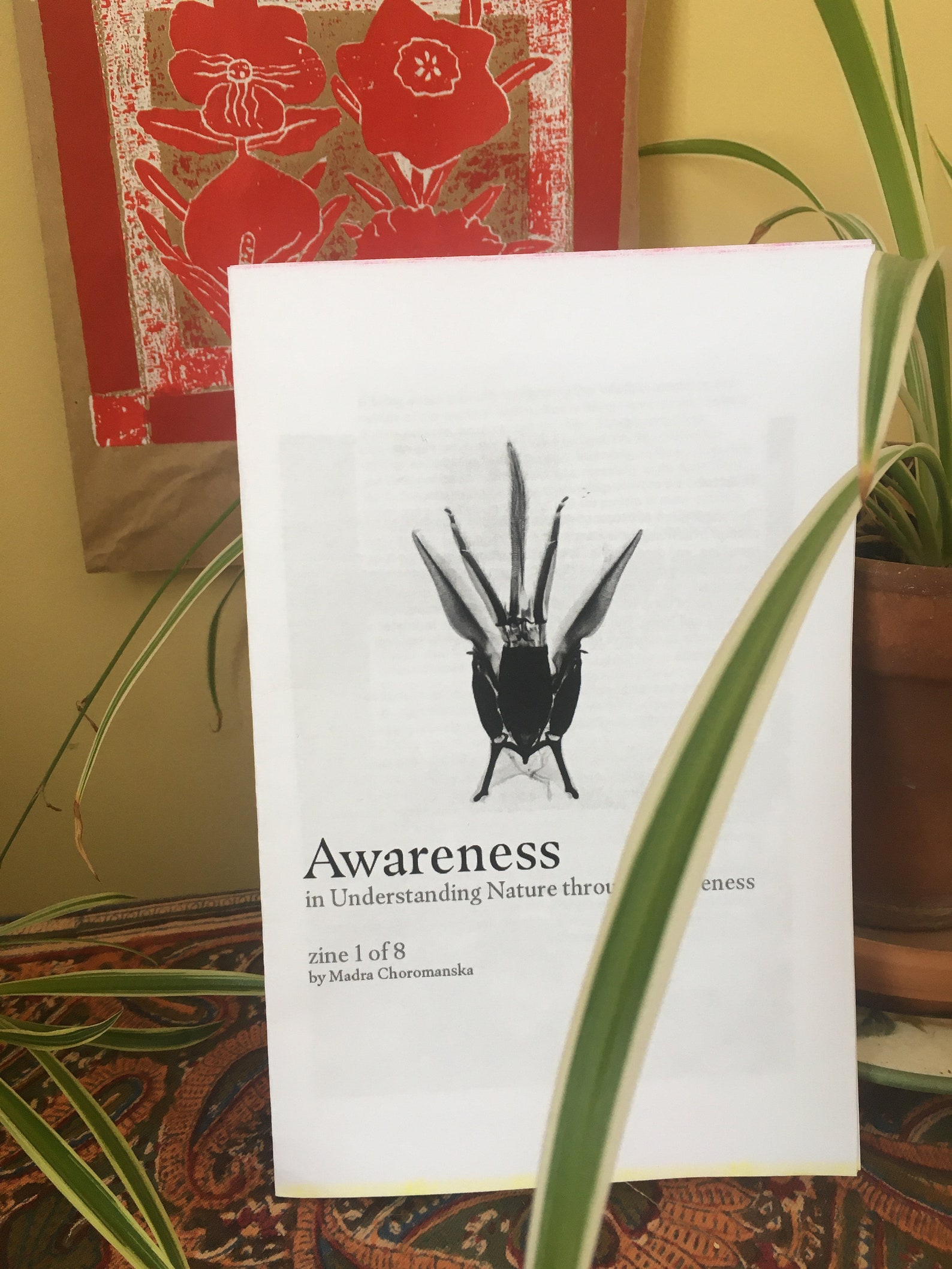 Awareness - Zine 1 of 8 - Digital Download (nature Zine, Plant Zine ...