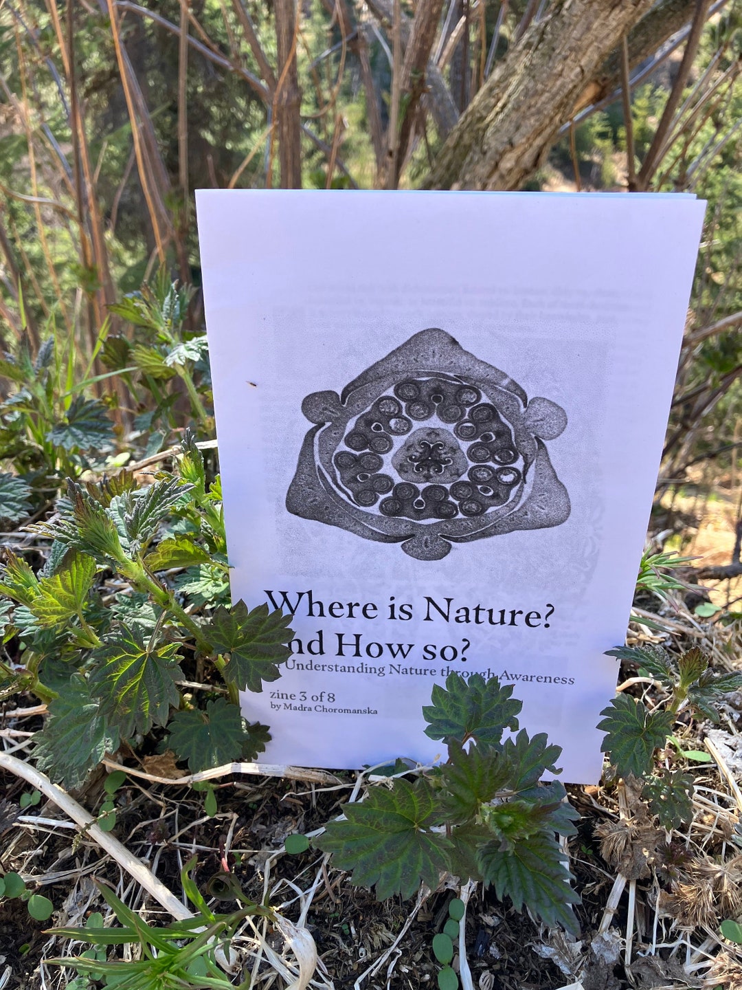 Where is Nature? - Zine 3 of 8 - Digital Download (nature Zine, Plant ...