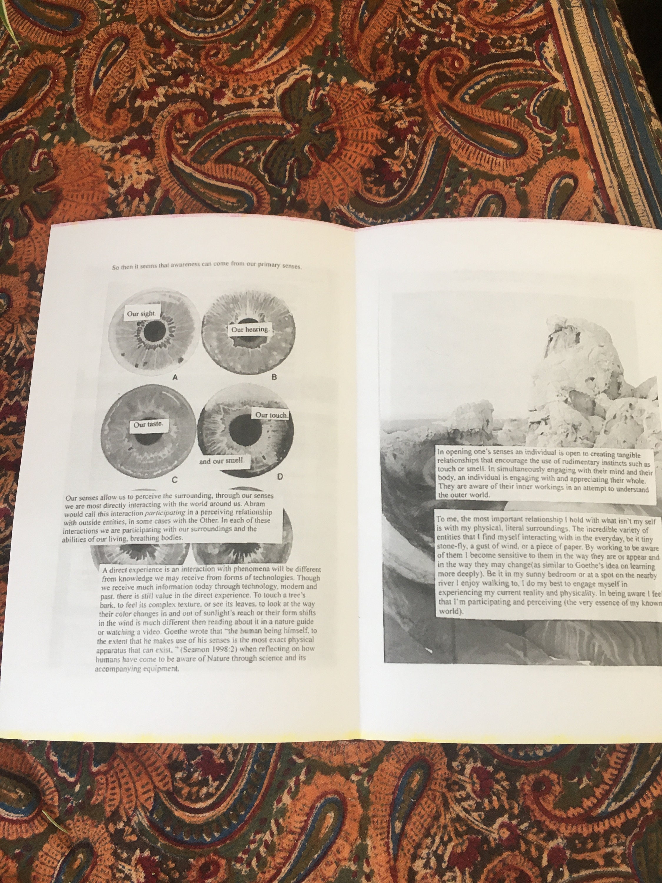 Awareness - Zine 1 of 8 - Digital Download (nature Zine, Plant Zine ...