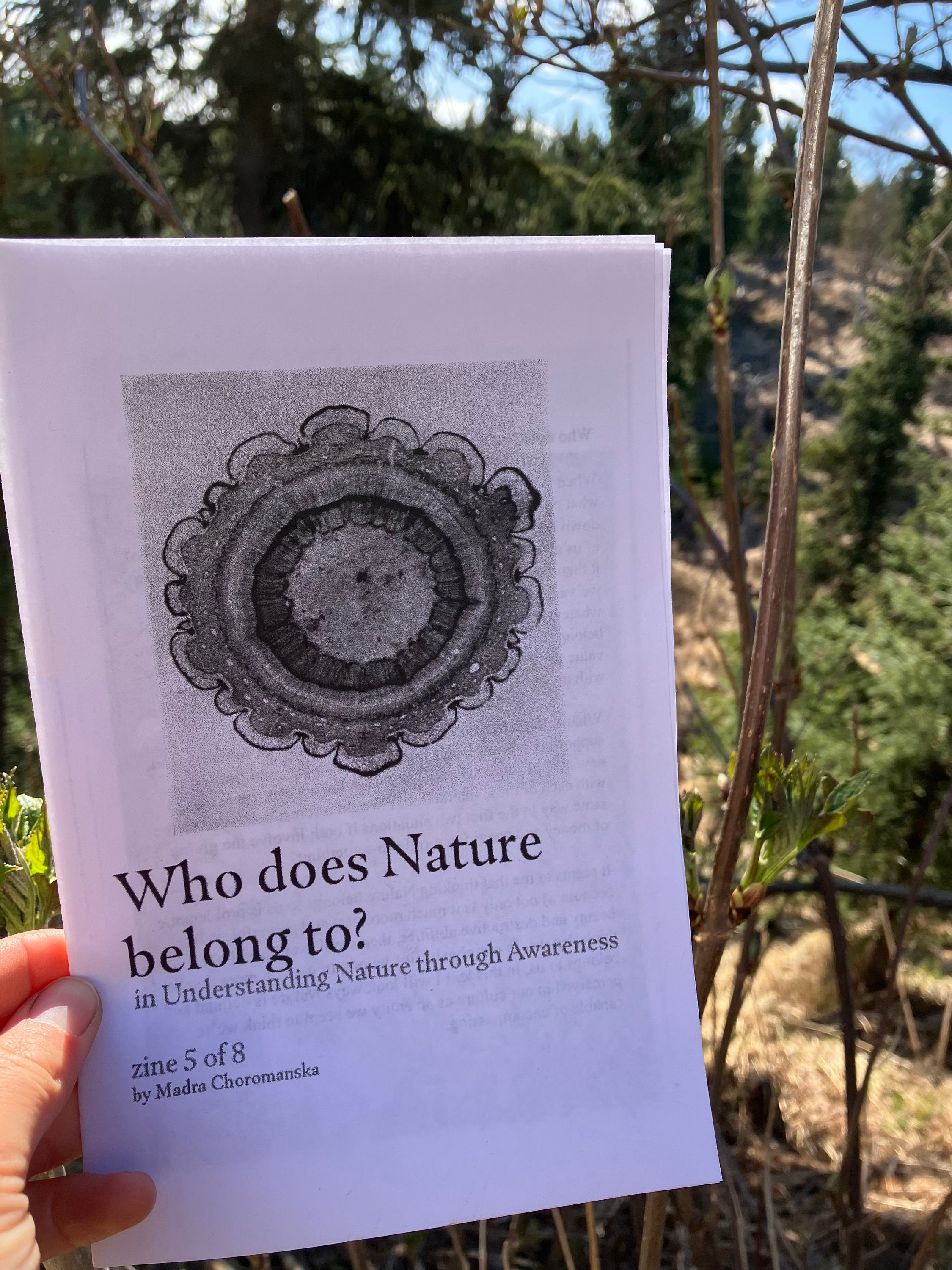 Nature Zine Set - 5 Thru 8 - Digital Download - Etsy