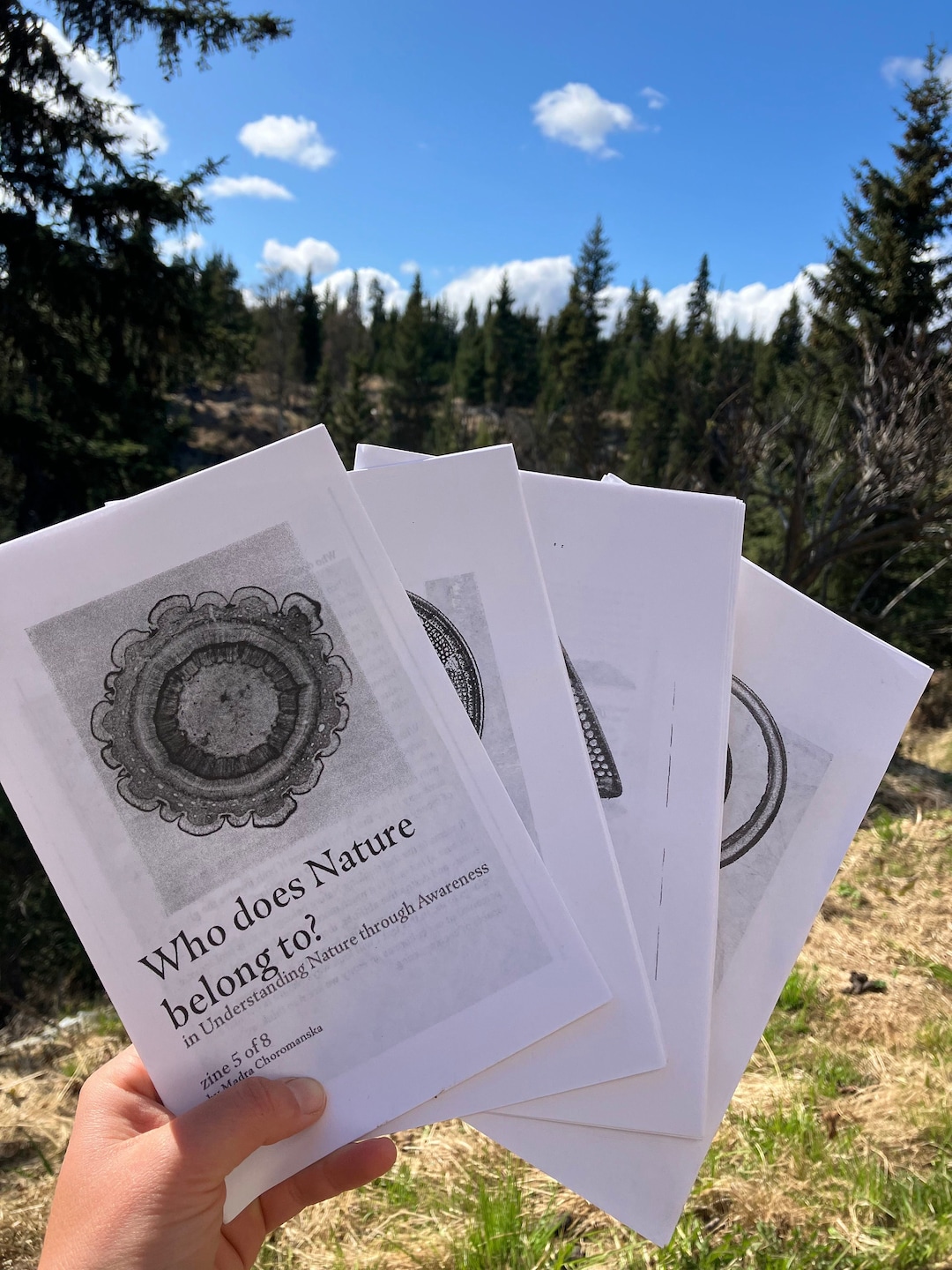 Nature Zine Set - 5 Thru 8 - Digital Download - Etsy