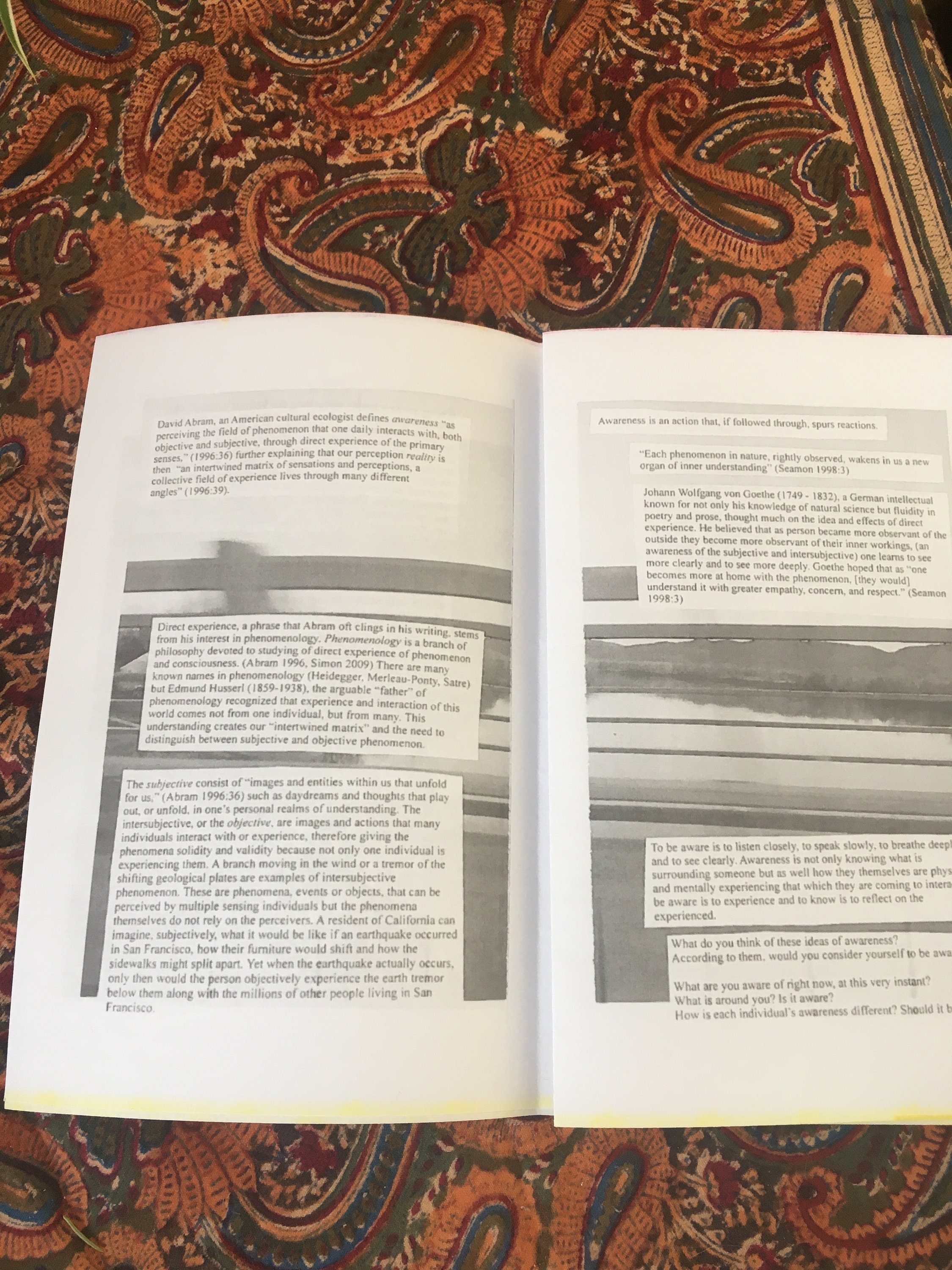 Awareness - Zine 1 of 8 - Digital Download (nature Zine, Plant Zine ...