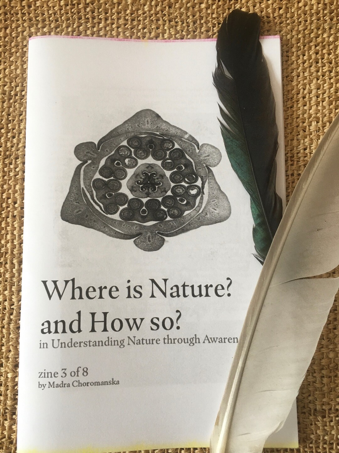 Where is Nature Zine 3 of 8 Digital Download nature - Etsy