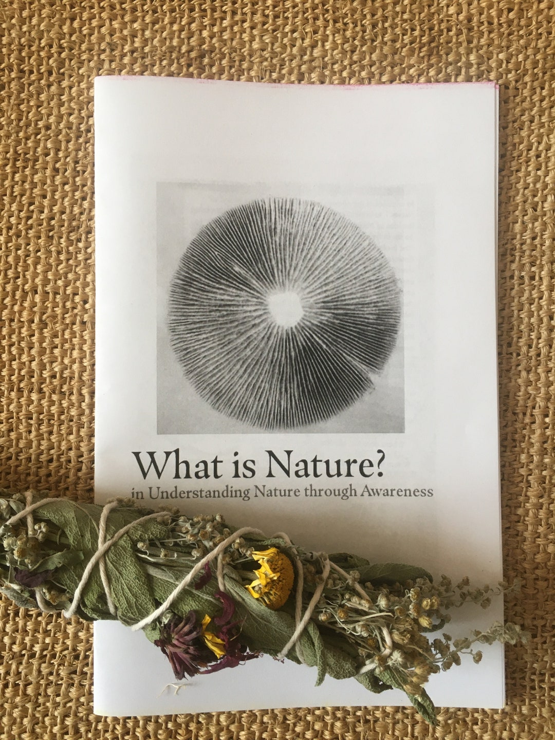 What is Nature Zine 2 of 8 Digital Download nature Zine - Etsy