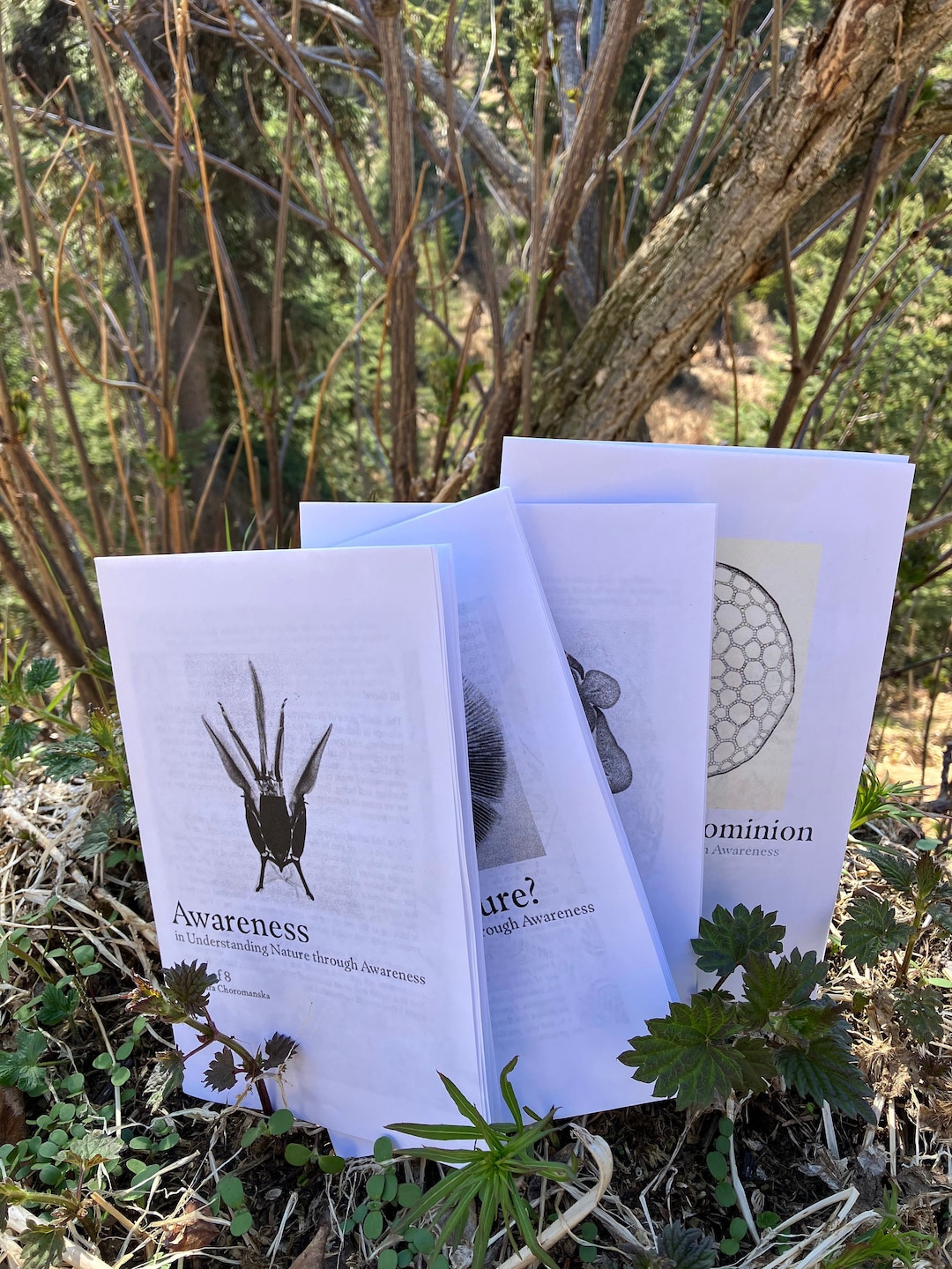 Nature Zine Set - 1 Thru 4 - Digital Download (zine, Nature Zine, Plant ...