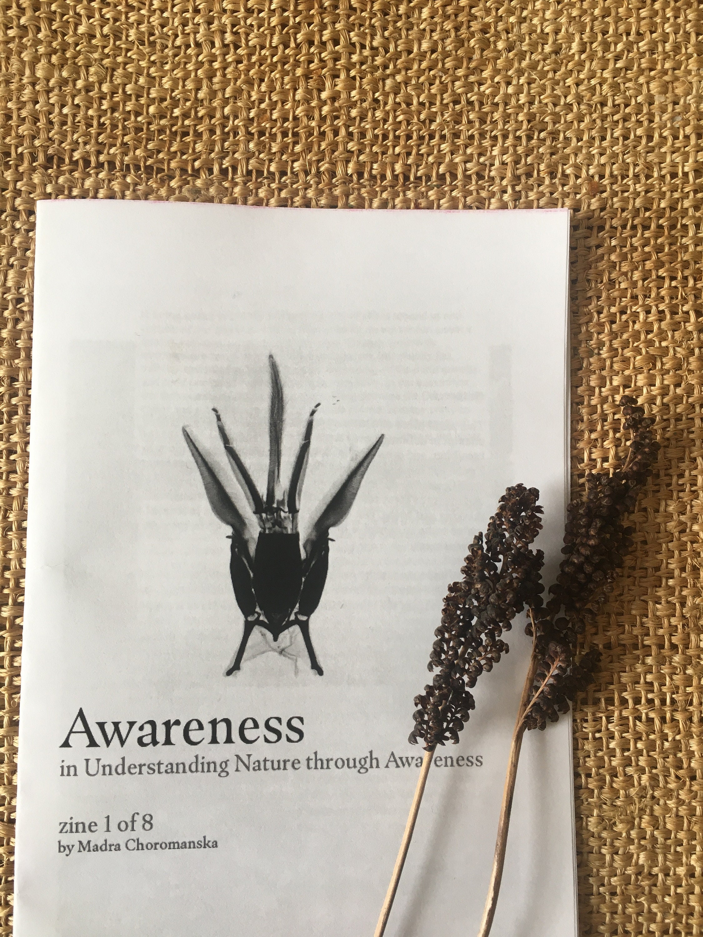 Awareness - Zine 1 of 8 - Digital Download (nature Zine, Plant Zine ...