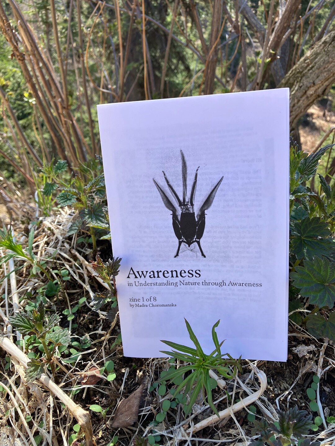 Awareness - Zine 1 of 8 - Digital Download (nature Zine, Plant Zine ...