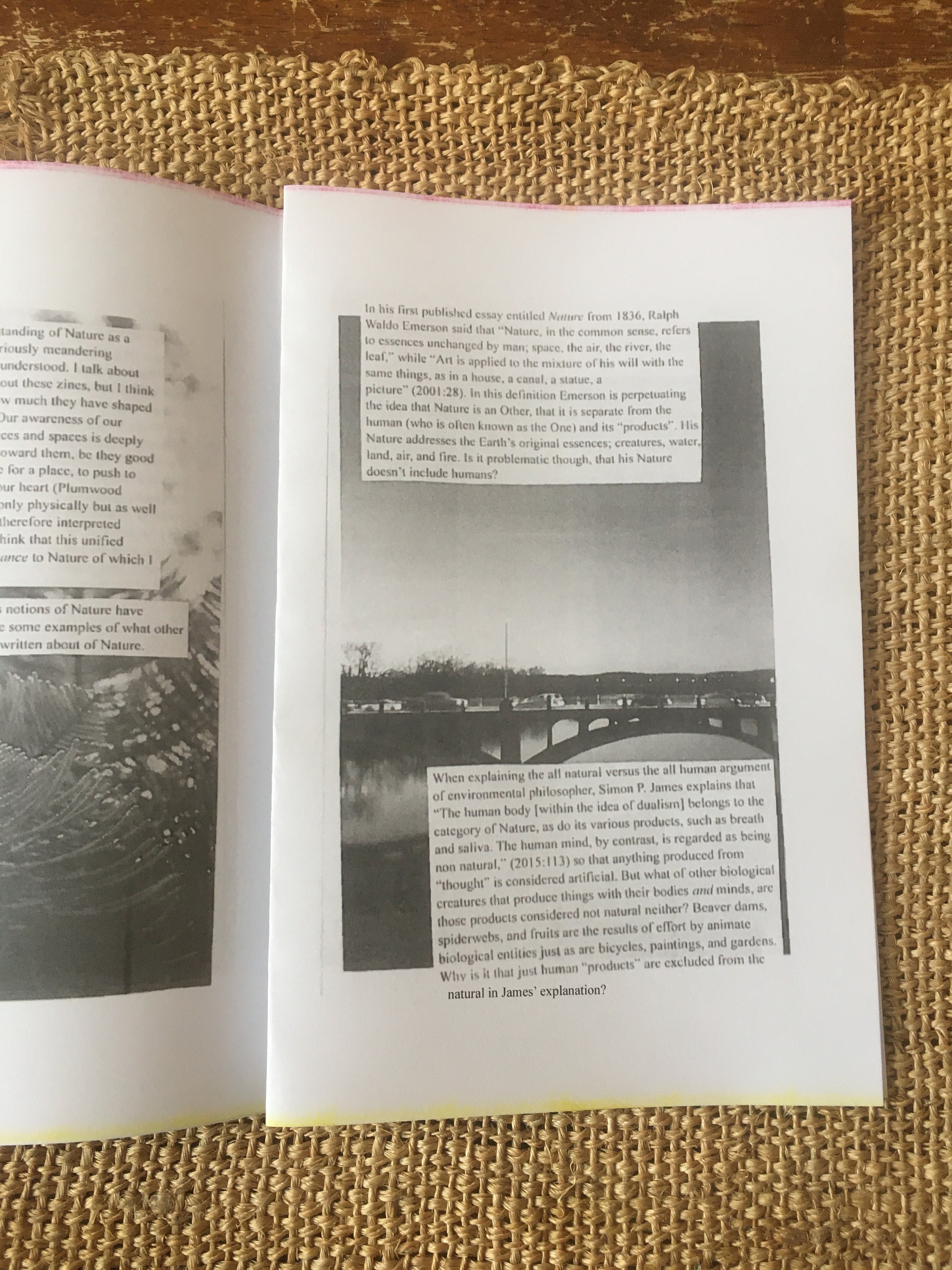 What is Nature? - Zine 2 of 8 - Digital Download (nature Zine, Plant ...