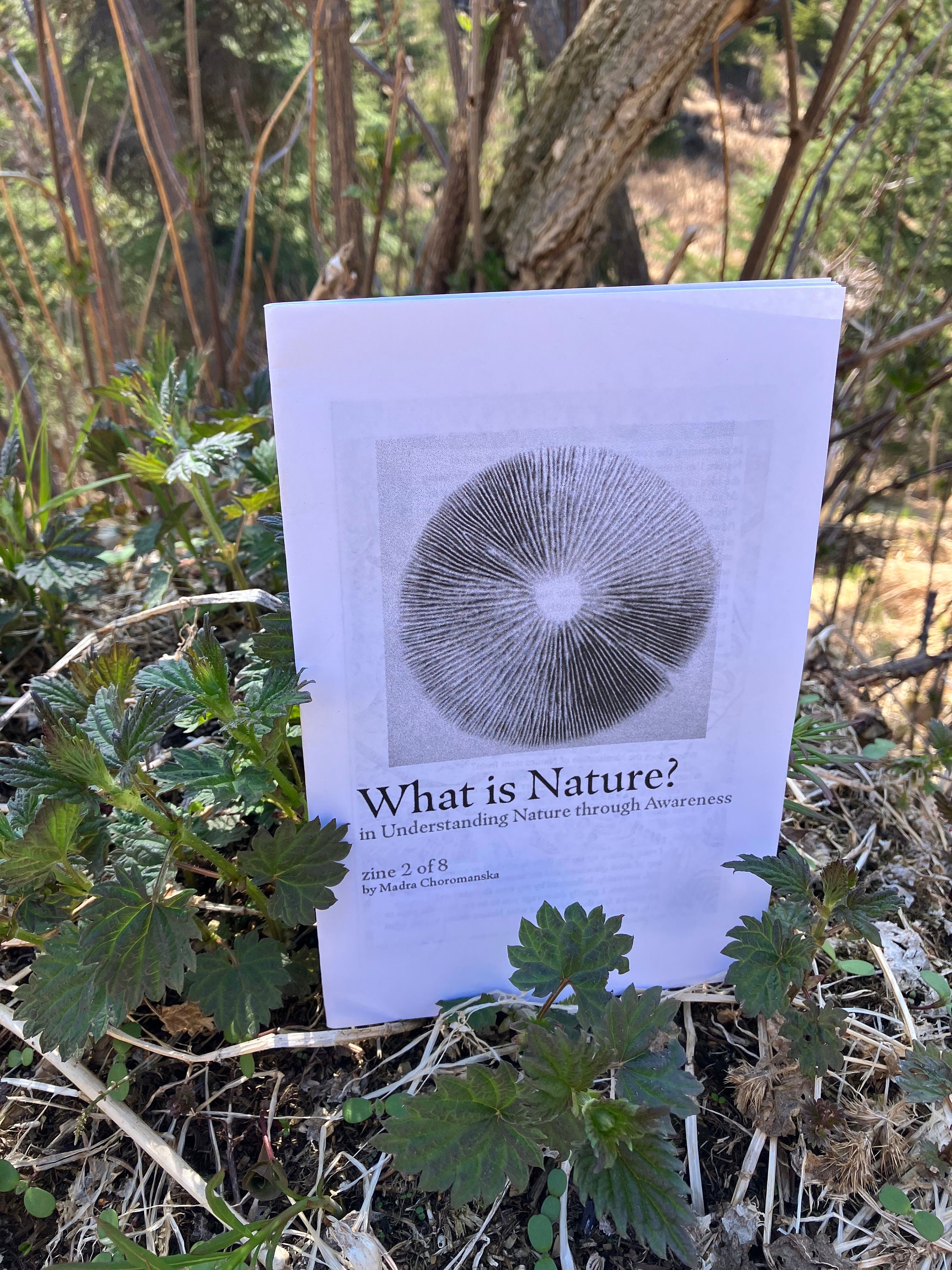 What is Nature? - Zine 2 of 8 - Digital Download (nature Zine, Plant ...