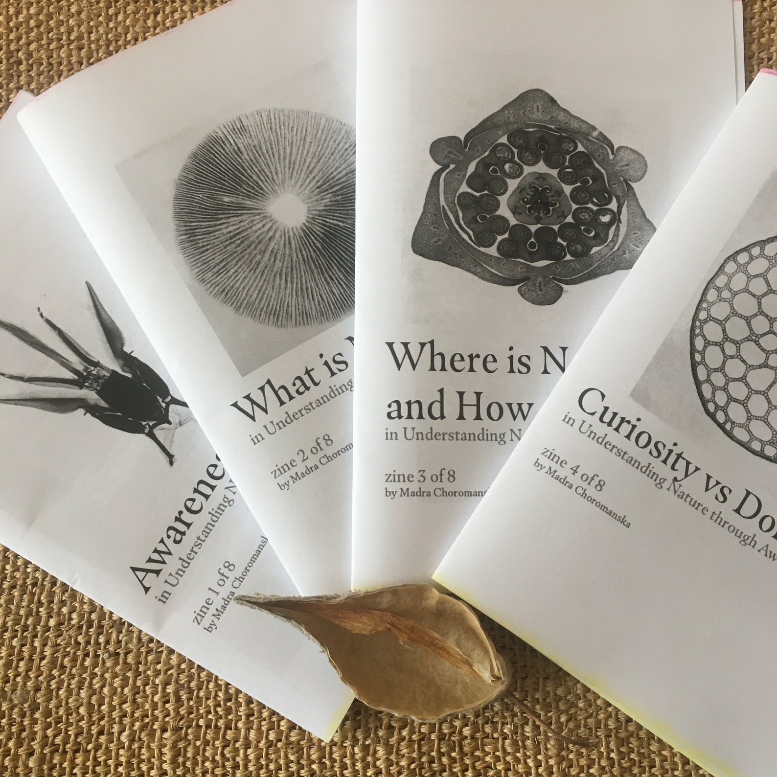 Nature Zine Set 1 thru 4 digital download nature zine | Etsy