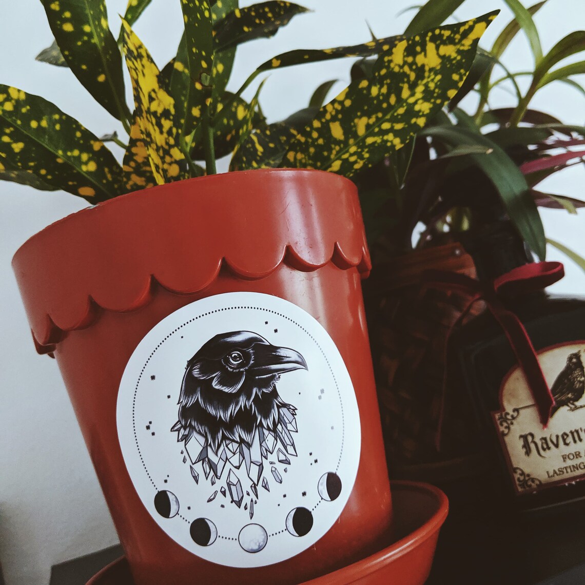 Luna Raven Stickers Raven. Stickers. Crow. Crystals. Print. - Etsy