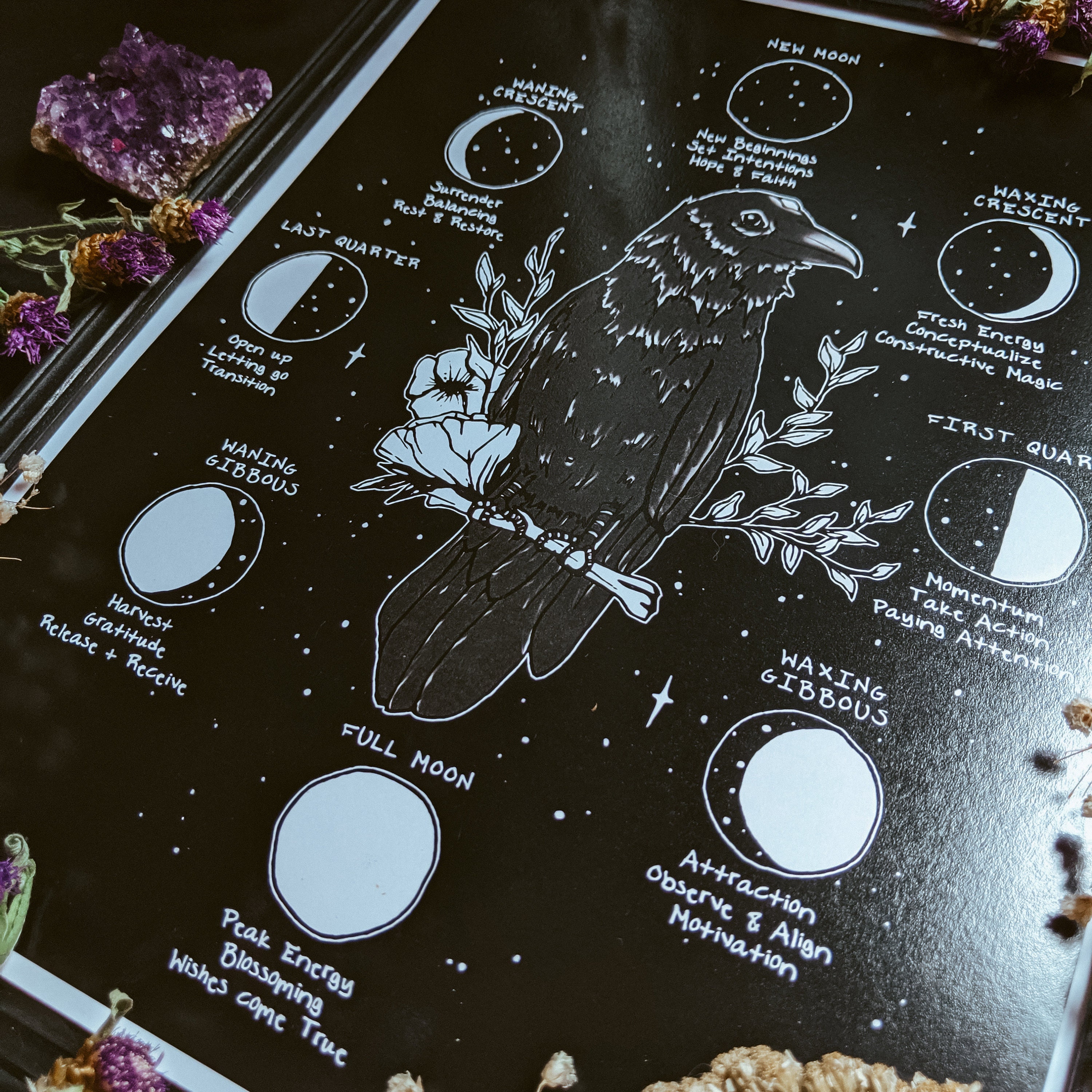Luna RAVEN-MOONPHASE Print. Raven. Crow. Moon Phase. Moon. - Etsy