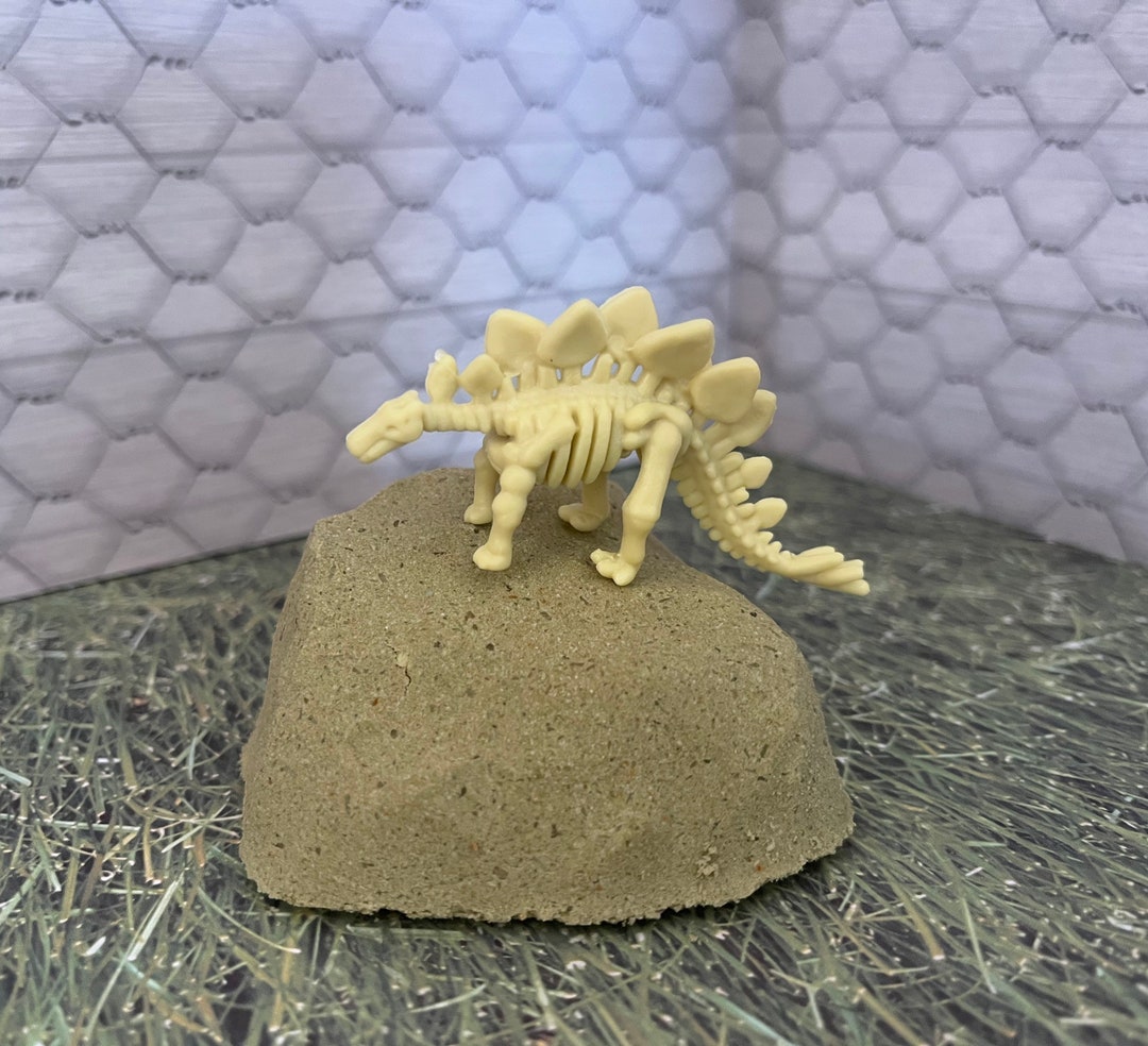 Fossil Bath Bomb - Etsy